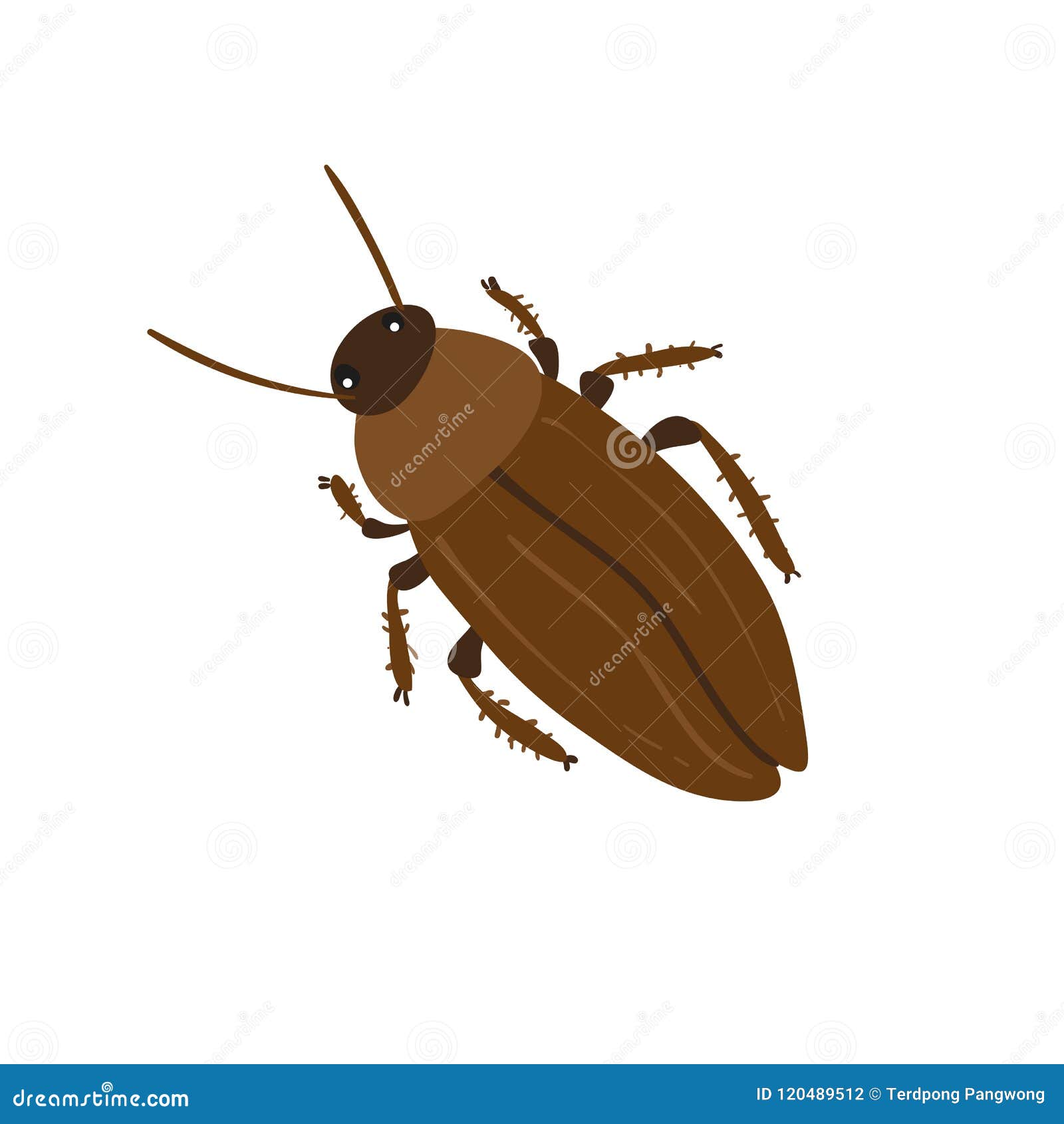 Cockroach Character Vector Design Stock Illustration - Illustration of ...