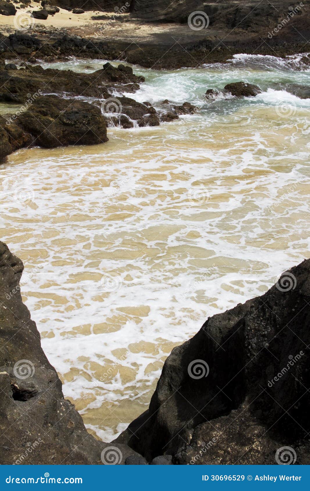 Cockroach Cove stock image. Image of oahu, rock, lava - 30696529