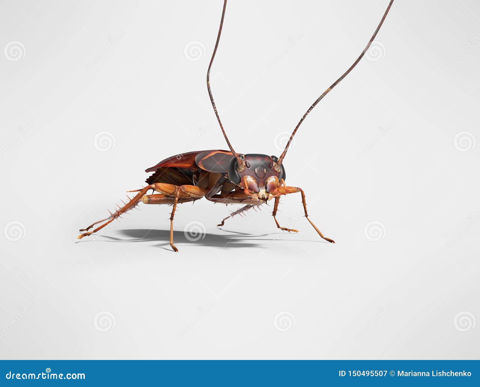 Cockroach Crawling on the Floor 3d Render on Gray Background with ...