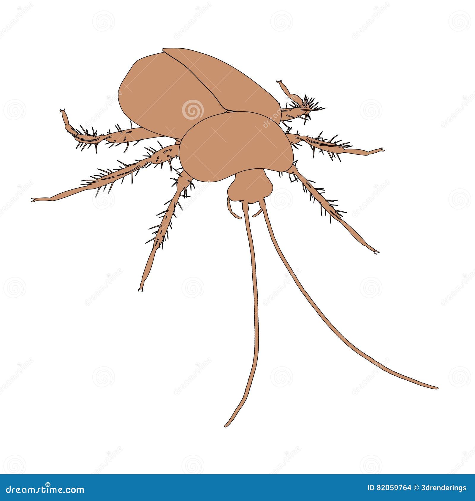 Cockroach stock illustration. Illustration of cockroach - 82059764