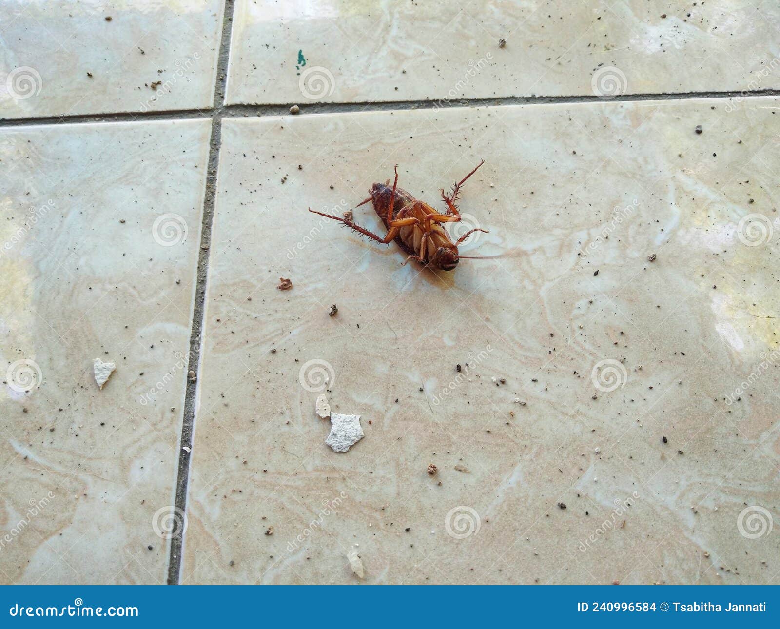 Old Dusty Ceramic Tiles Stock Photo | CartoonDealer.com #98365692