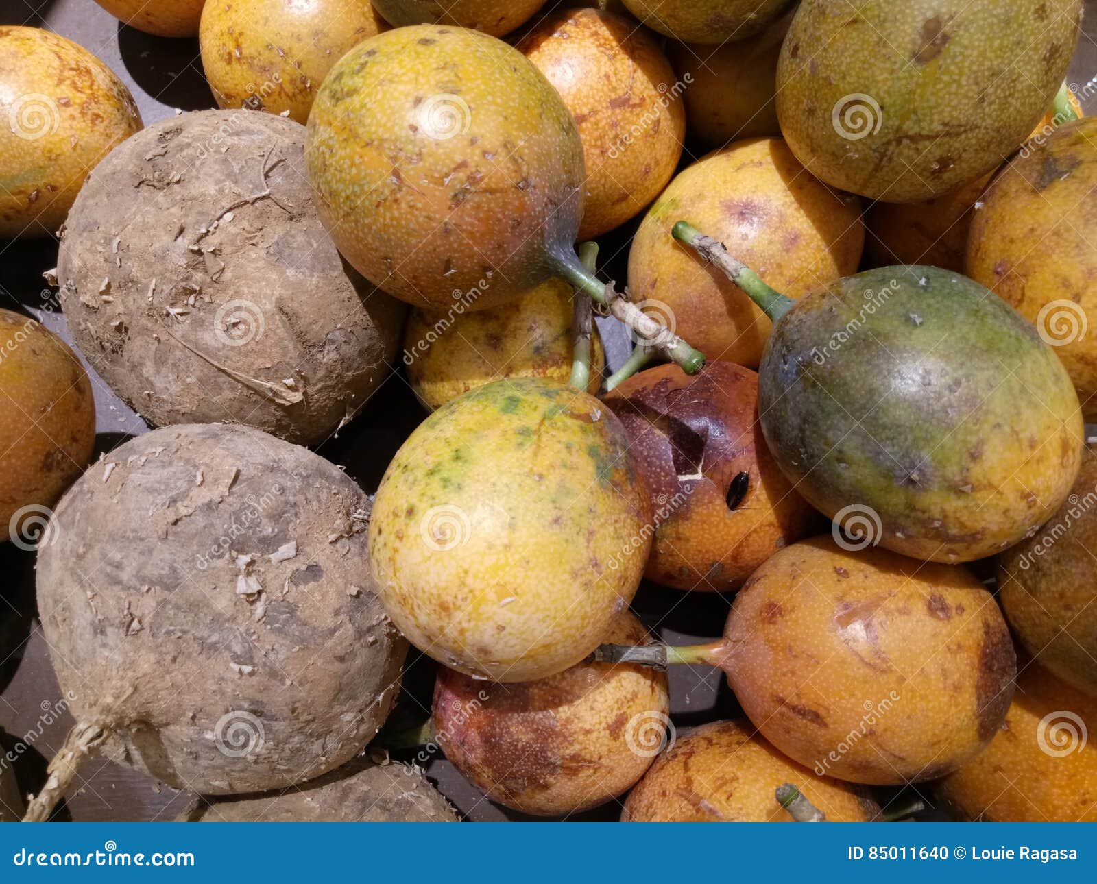 Cockroach On Fruit Food Waste Royalty-Free Stock Photo | CartoonDealer ...