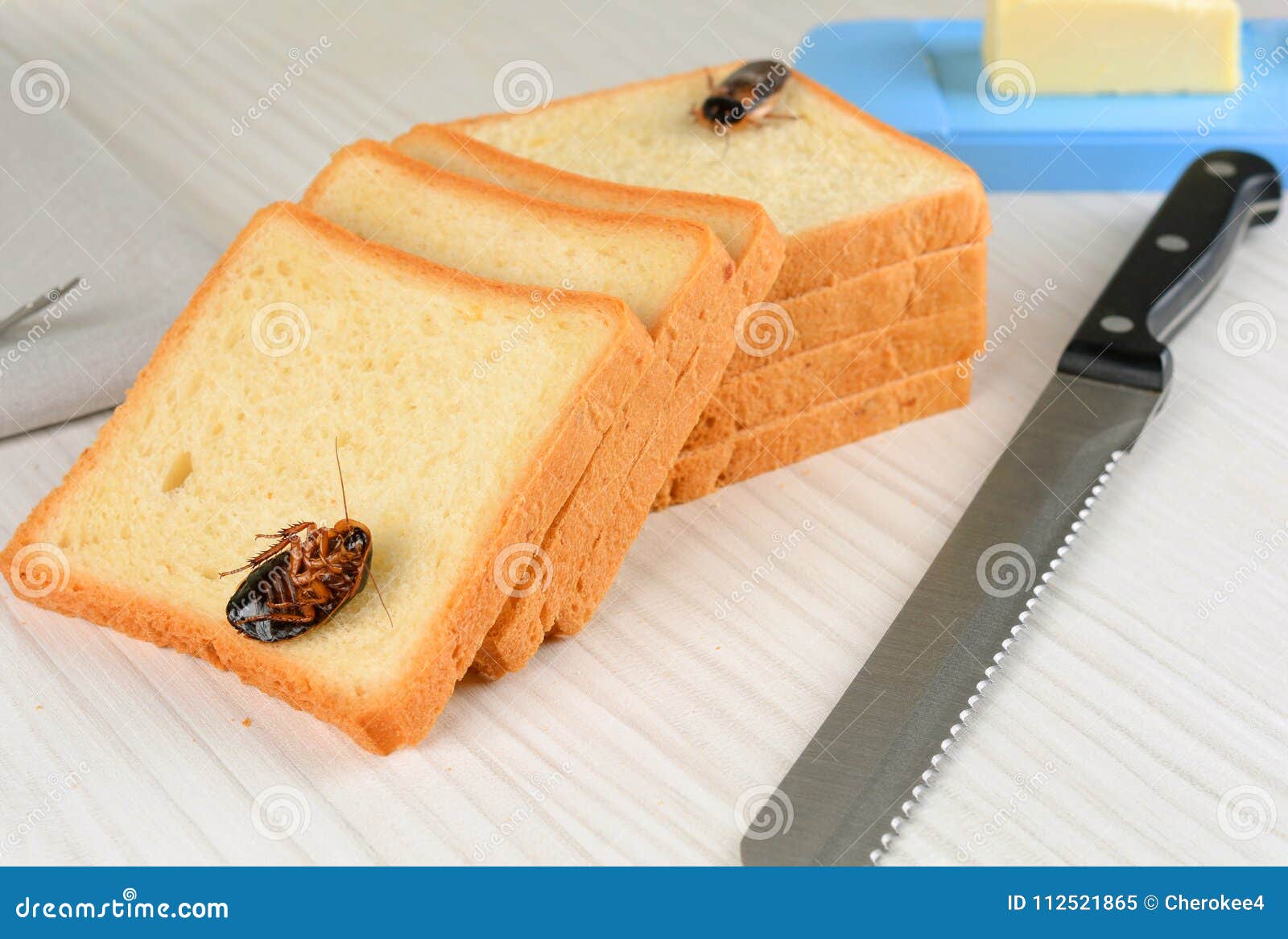 Cockroach On Food In The Kitchen. The Problem Is In The House Because ...