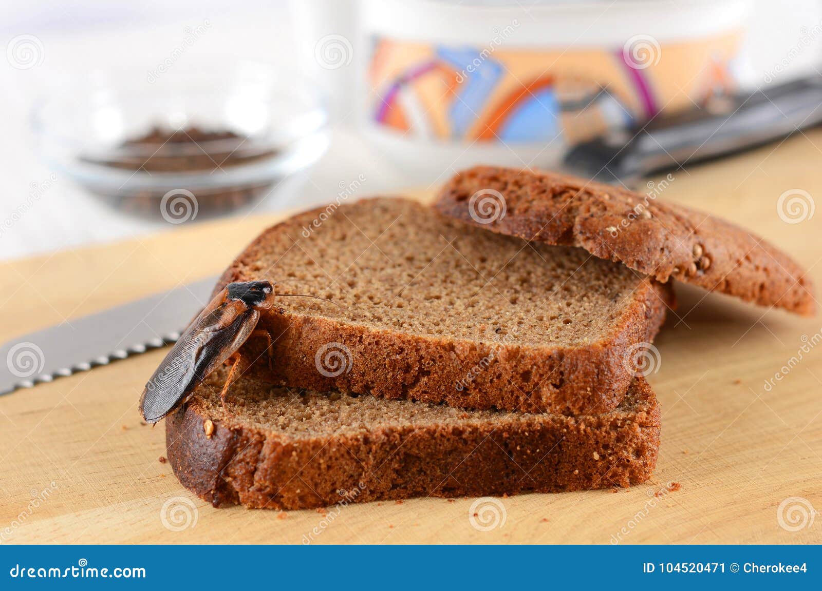 Cockroaches Stock Image | CartoonDealer.com #24275941