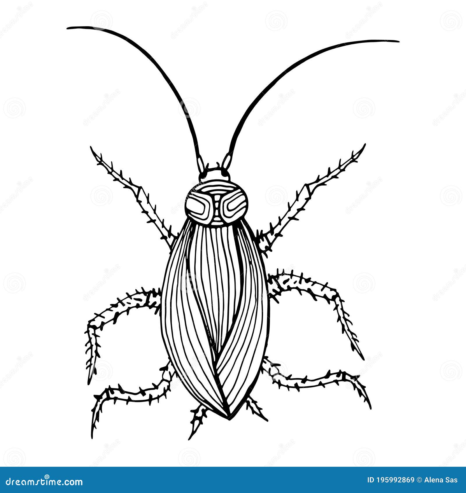 Cockroach Line Icon, Insects Concept, Roach Sign On White Background ...