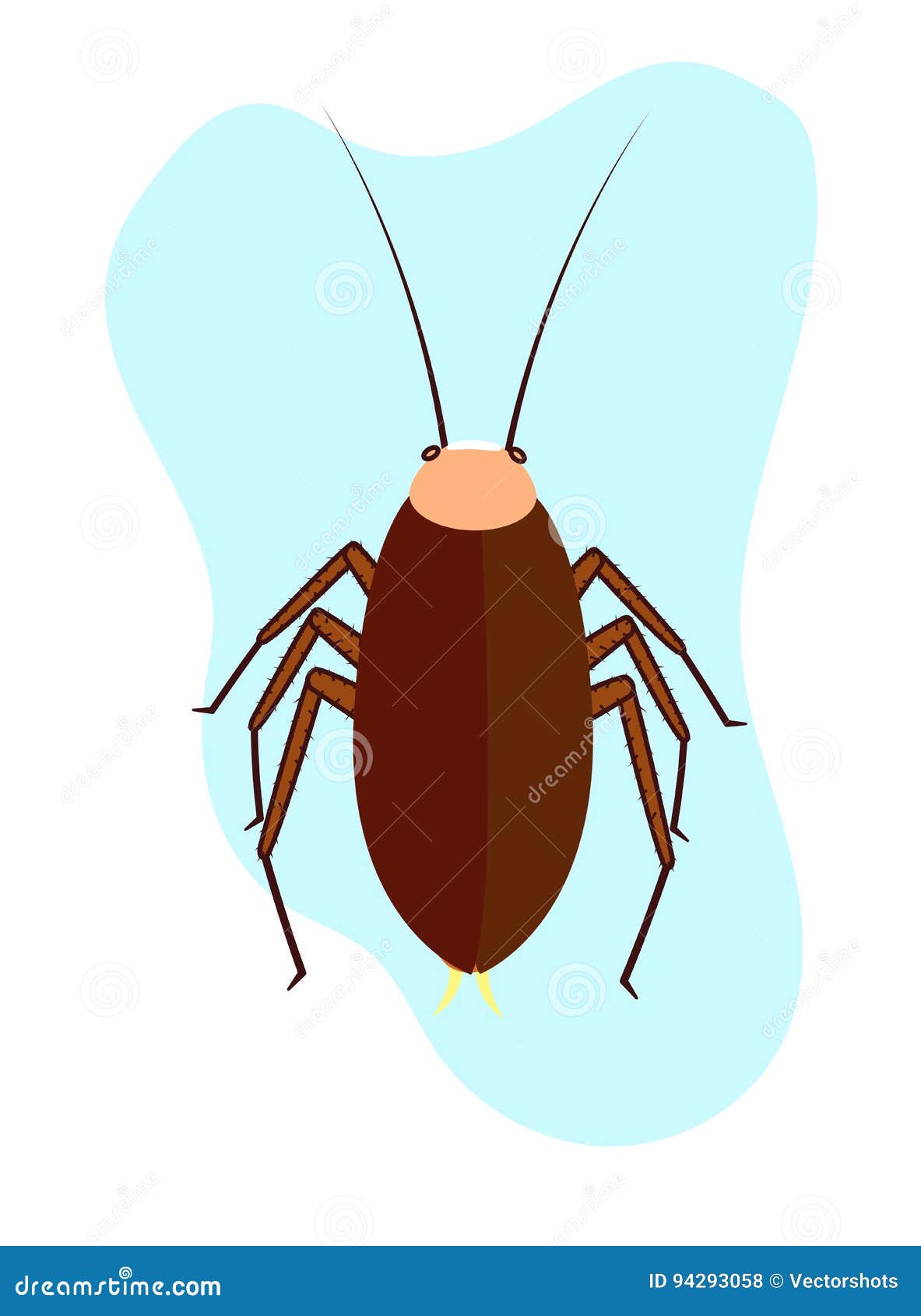 Cockroach Insect Animal Anatomy Character Set Illustration Vector ...