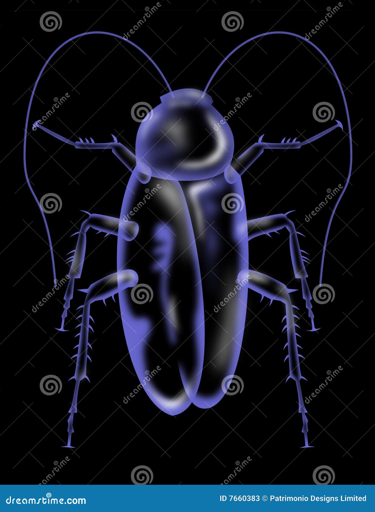 Cockroach insect x-ray stock illustration. Illustration of arthropods ...