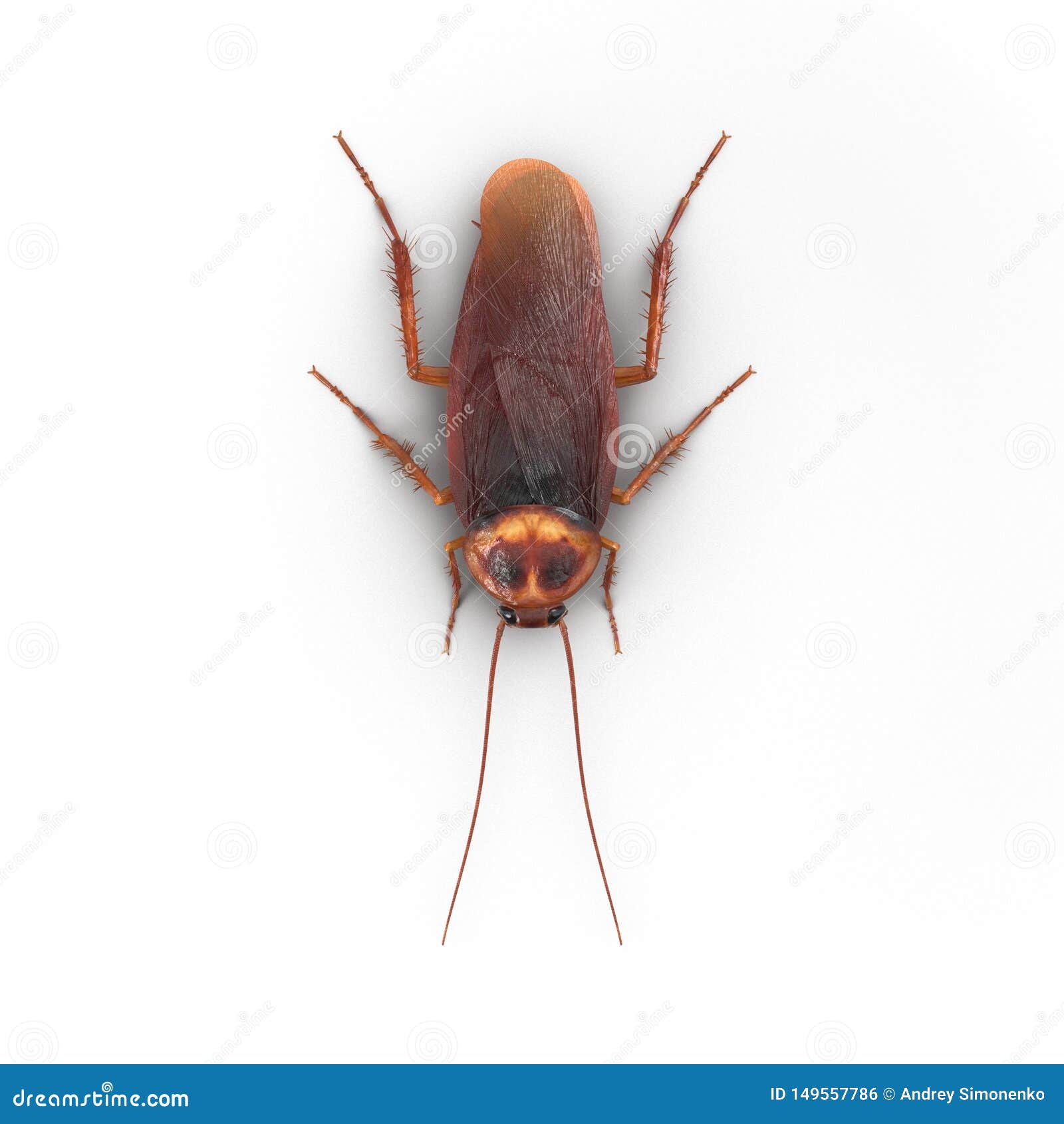 Cockroach Isolated on White Background 3D Illustration Stock ...