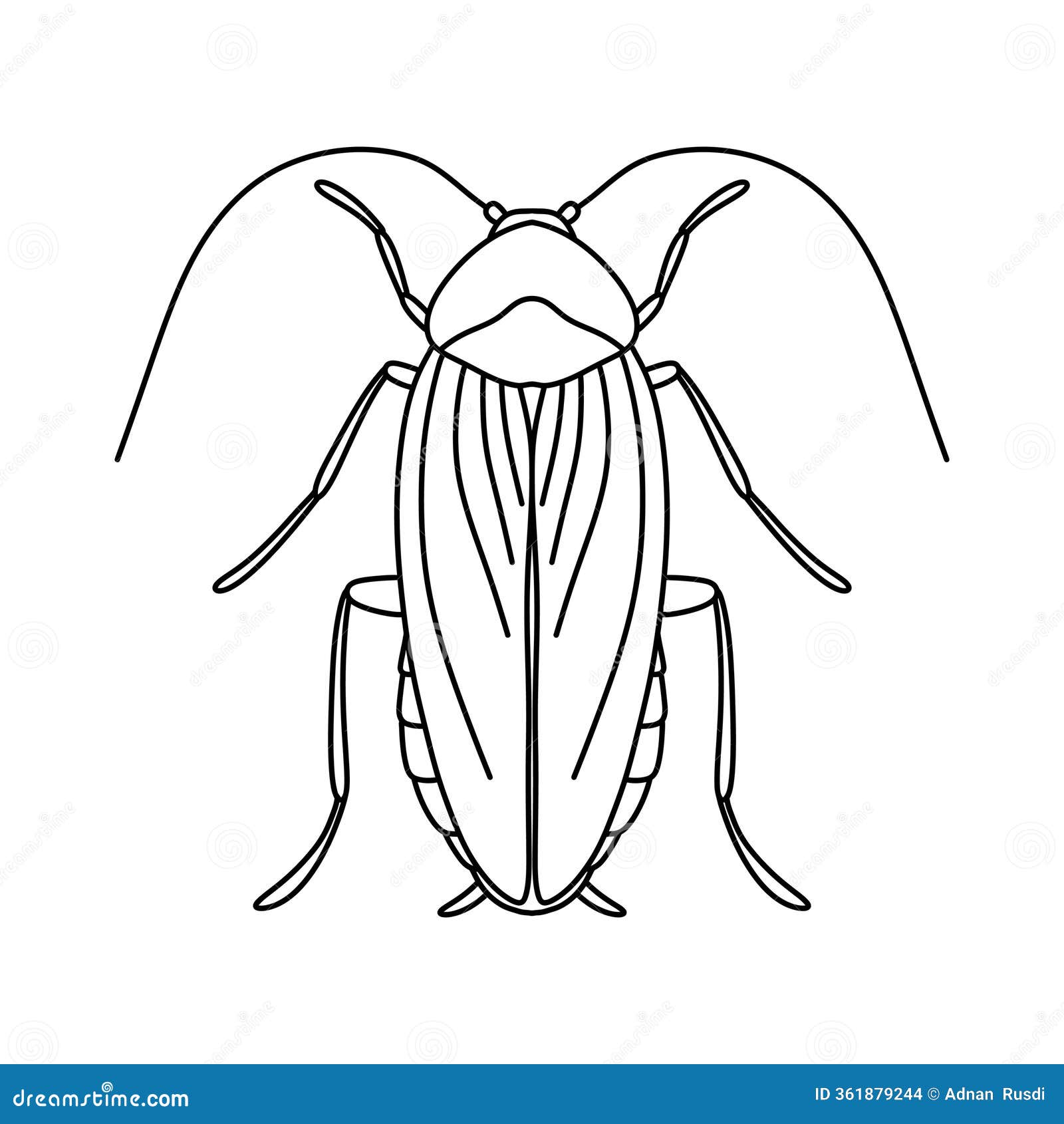 Cockroach Line And Solid Icon, Insects Concept, Roach Sign On White ...