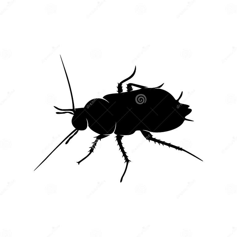 Cockroach Logo Design Vector Illustration. Cockroach Design Template ...