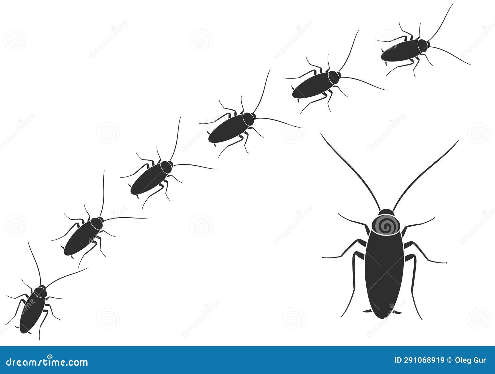 Cockroach Logo Design Vector Illustration. Cockroach Design Template ...
