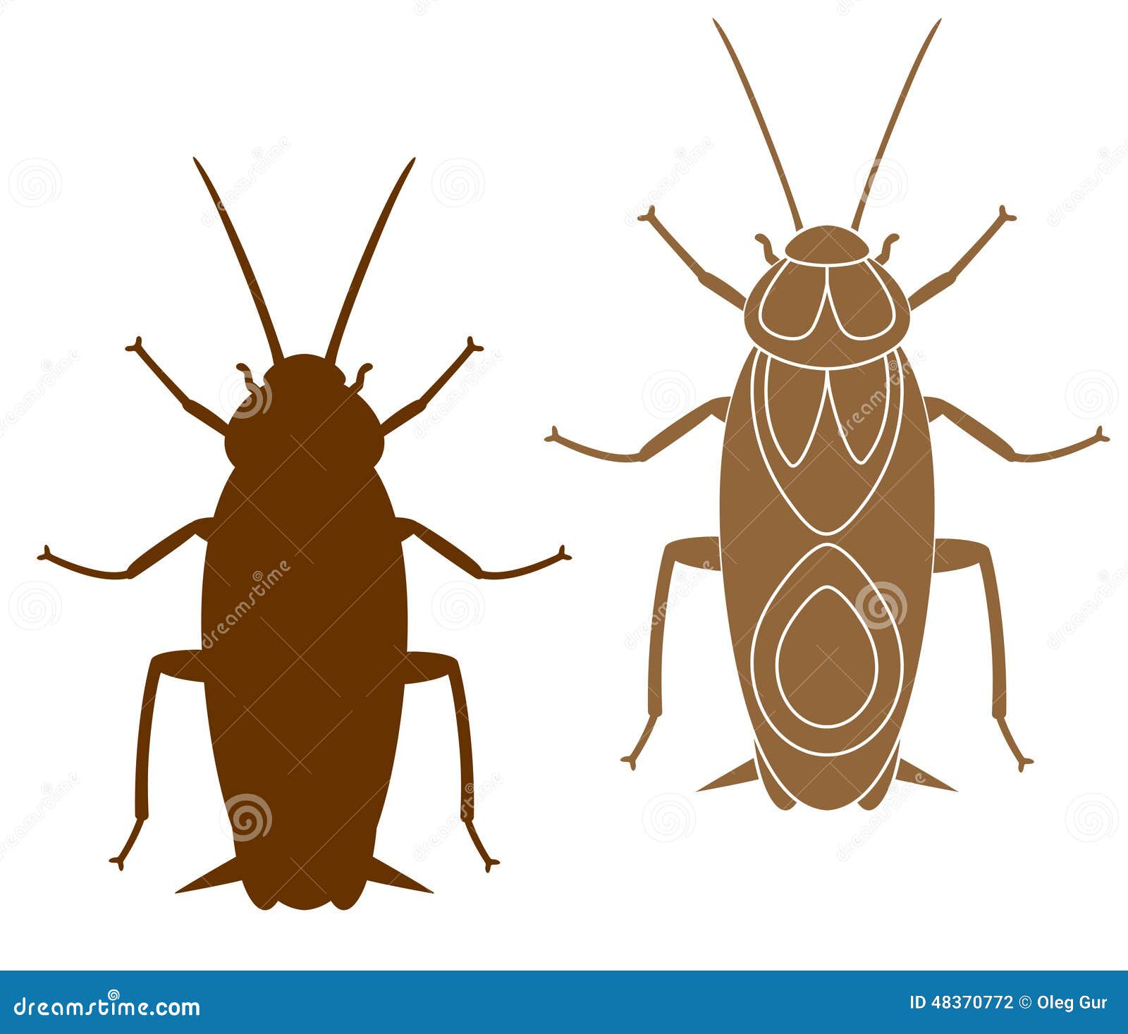 Cockroach stock vector. Illustration of danger, design - 48370772