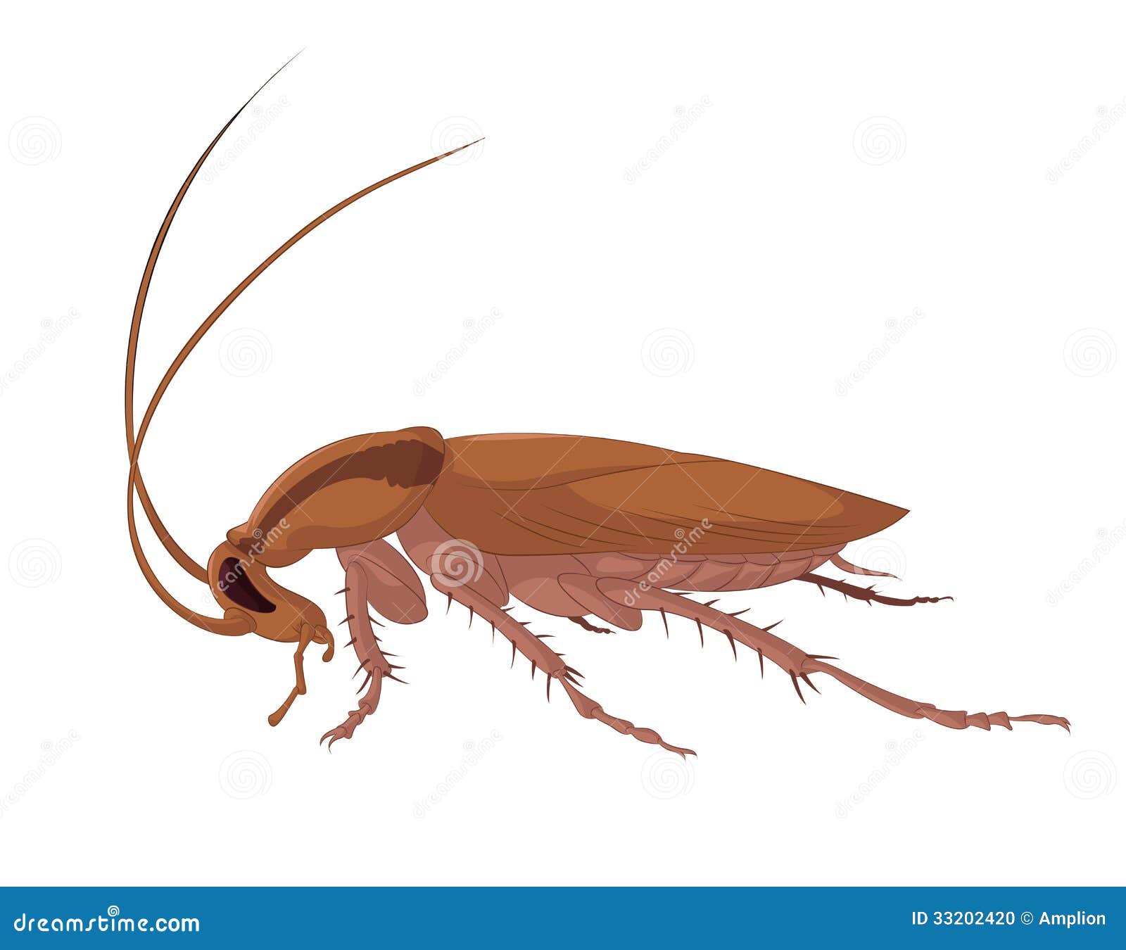 Cockroach Vector Illustration | CartoonDealer.com #33202420