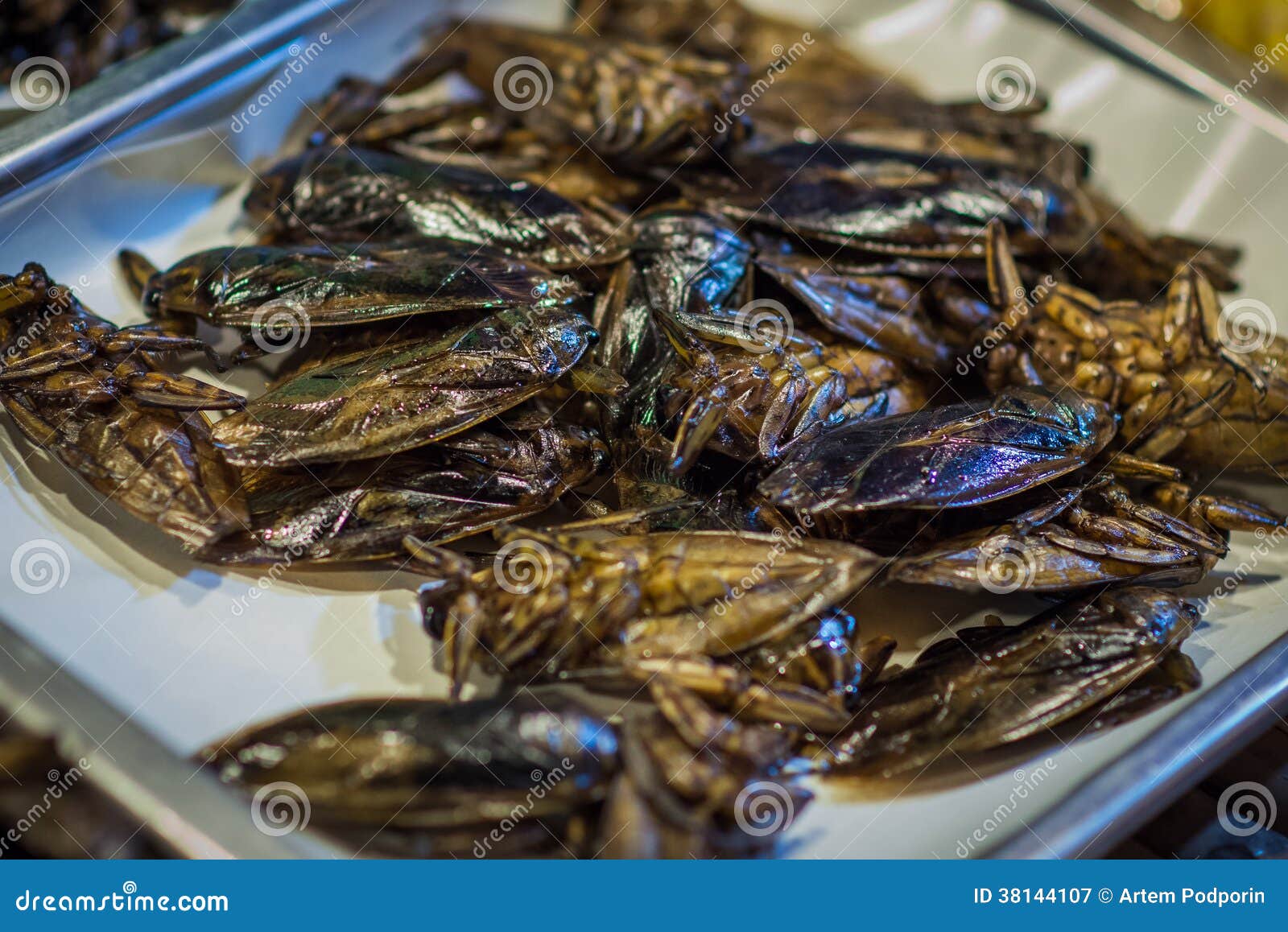 Cockroaches on the Thai Market Stock Image - Image of closeup, cuisine ...