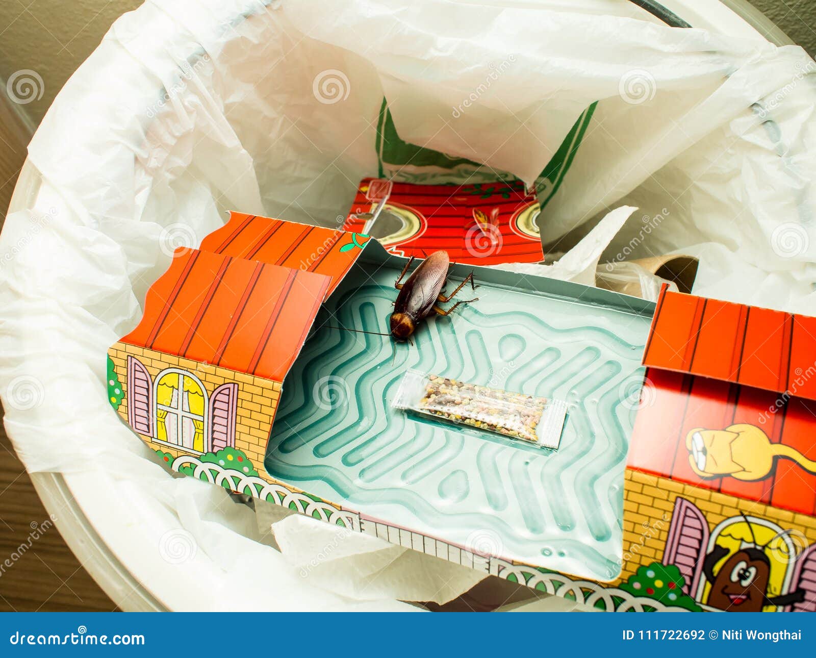 Cockroaches Trapped Trap Boxes Trapped Cockroaches in the Kitchen ...