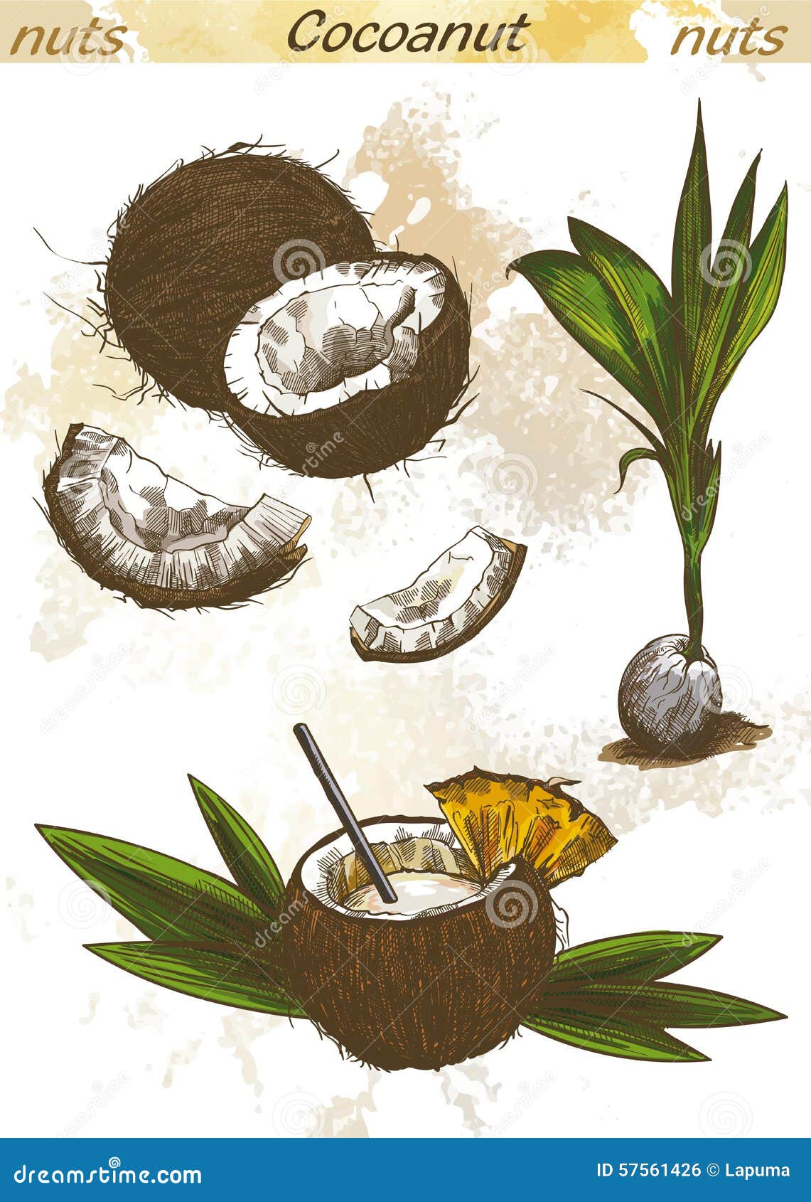 Coconut Milk With Package Design And Wooden Floor On Brown Background ...