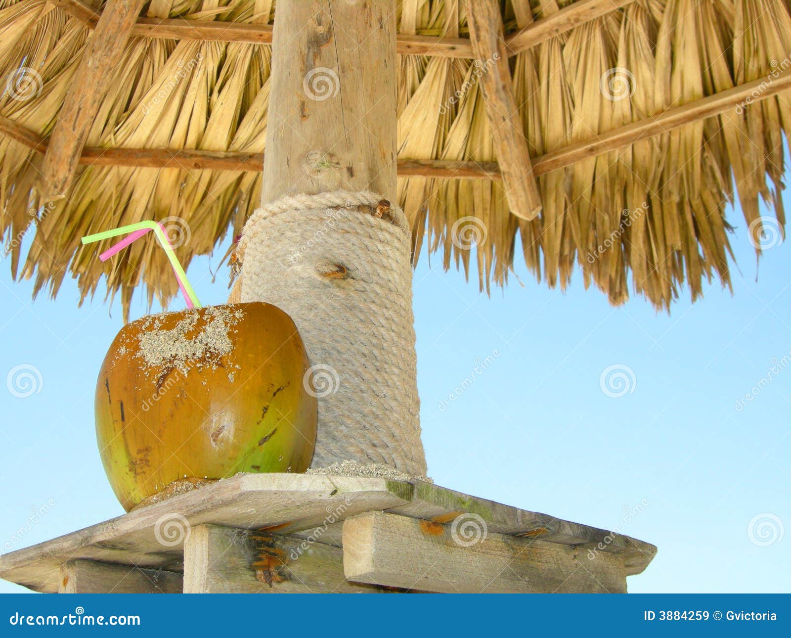 Cocktail do coco da praia imagem de stock. Imagem de praias - 3884259