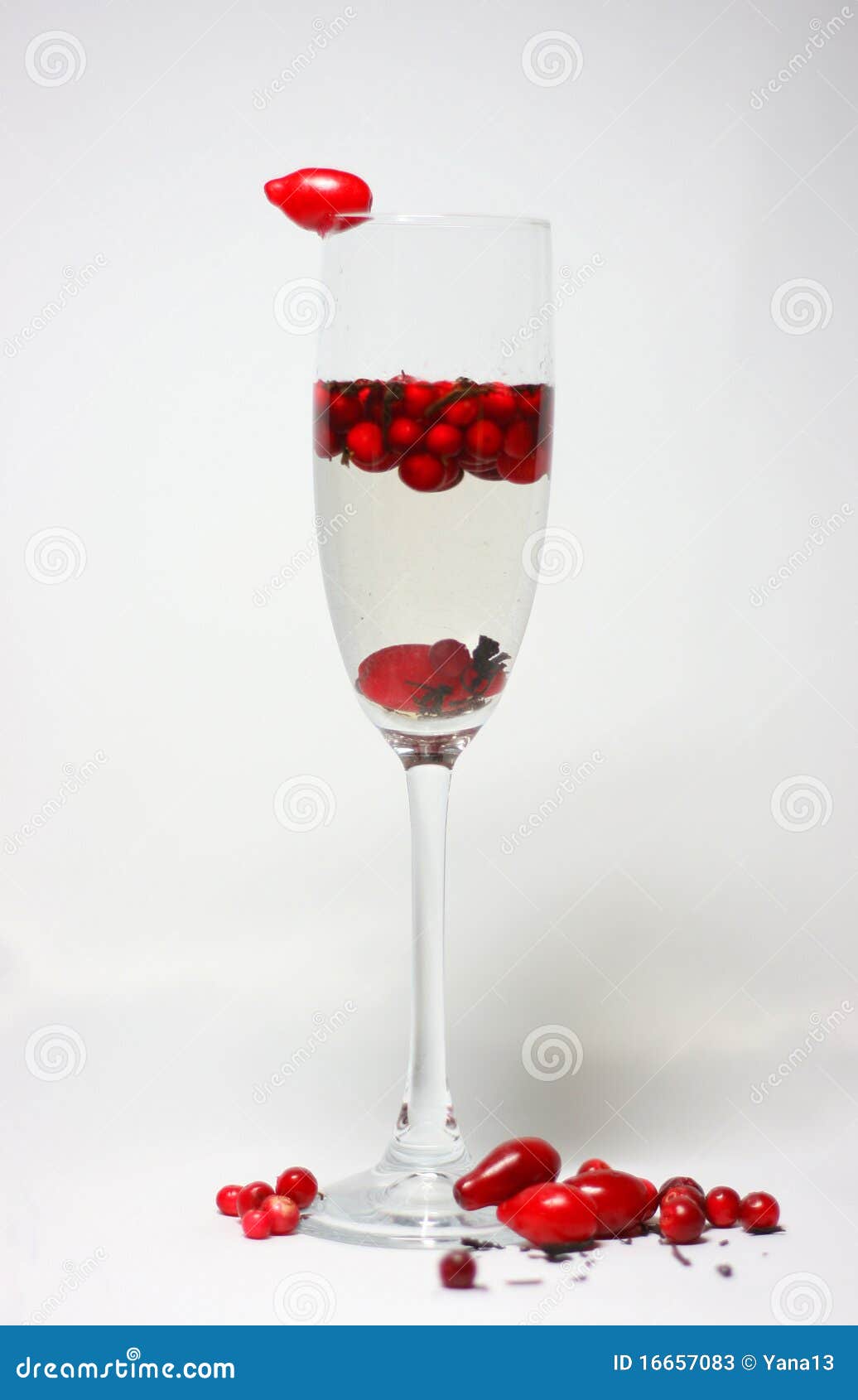 Cocktail met rode bessen stock afbeelding. Image of cocktail - 16657083