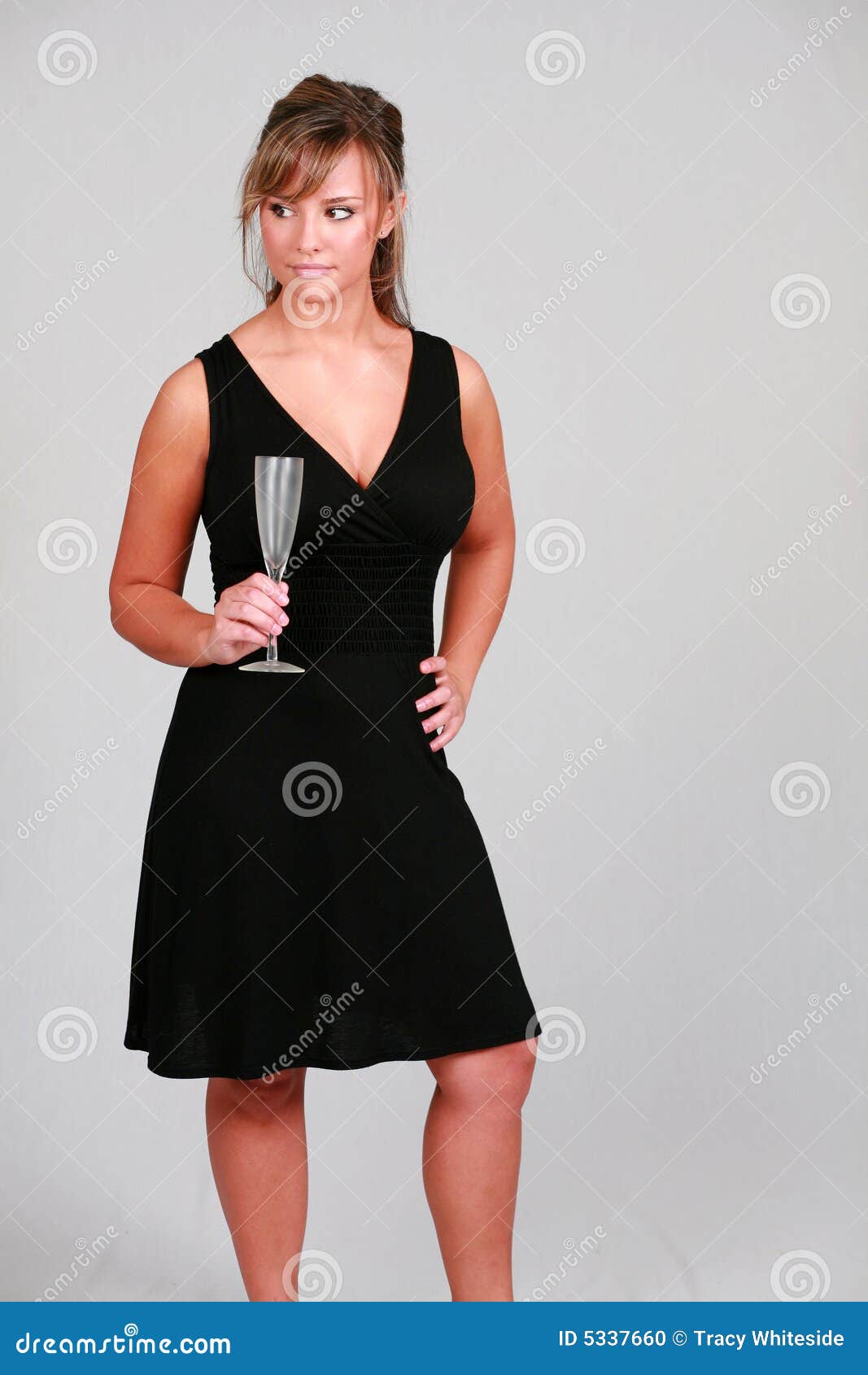 Cocktail Party stock photo. Image of fashion, beauty, beautiful - 5337660