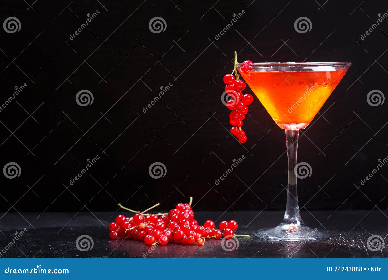 Cocktail with red currant stock photo. Image of glass - 74243888