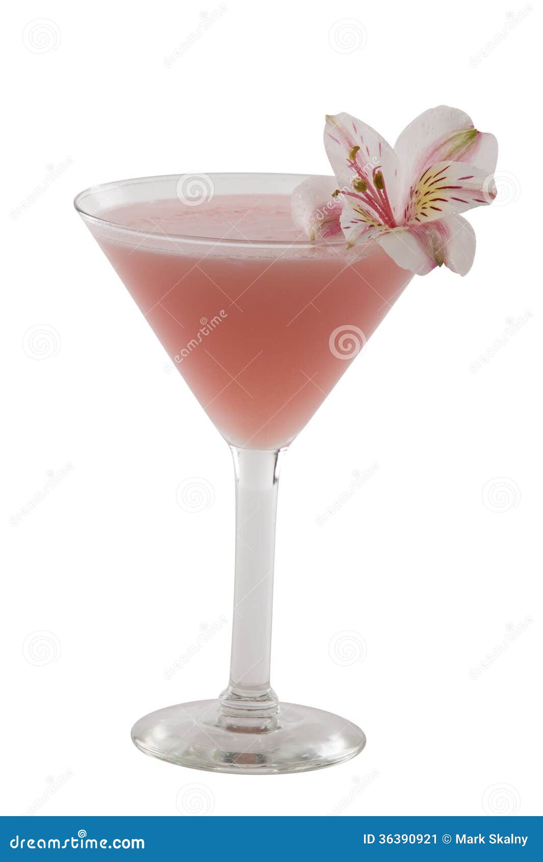 Cocktail rosa di Martini immagine stock. Immagine di studio - 36390921