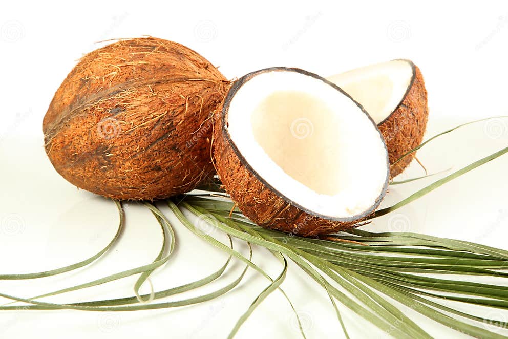 Coco foto de archivo. Imagen de ingrediente, coma, bebida - 10189312