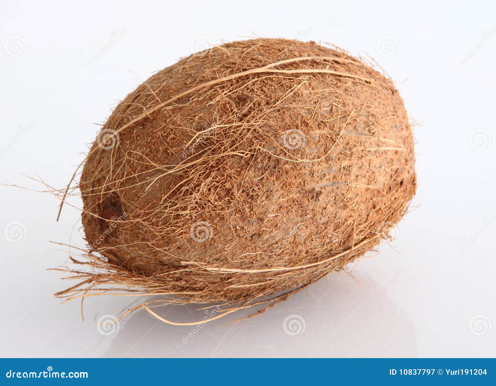 Coco imagen de archivo. Imagen de coma, caribe, aislado - 10837797