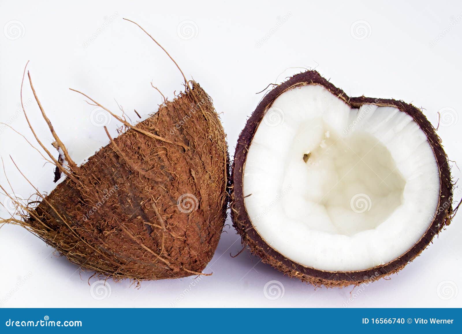 Coco foto de stock. Imagem de fresco, coma, cabeleira - 16566740