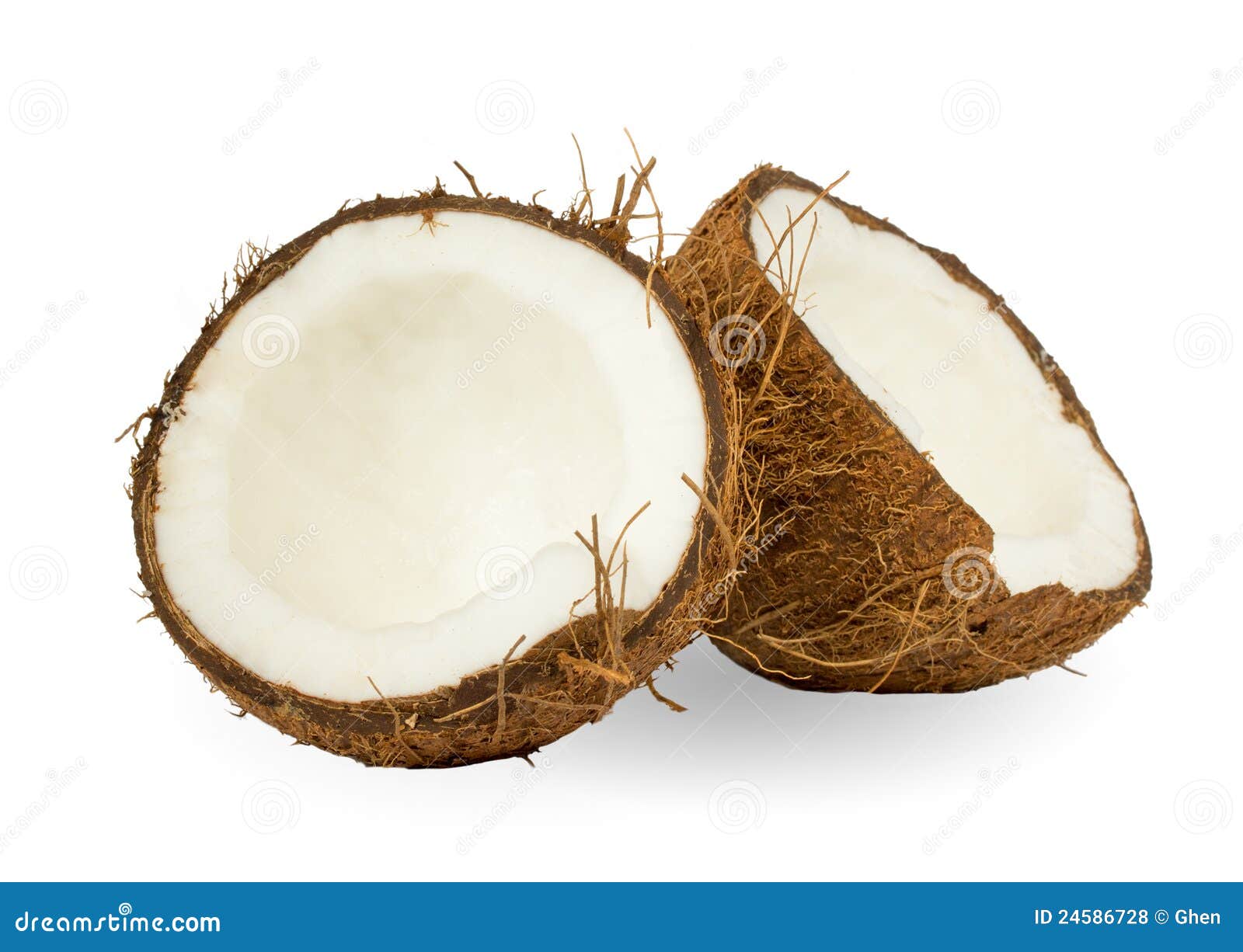 Coco foto de archivo. Imagen de flora, coma, travieso - 24586728