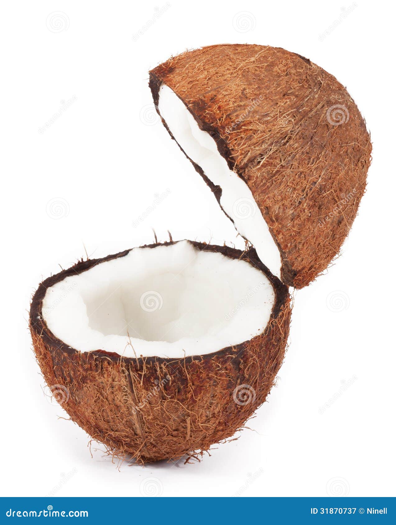 Coco imagem de stock. Imagem de duro, meio, fruta, biografia - 31870737