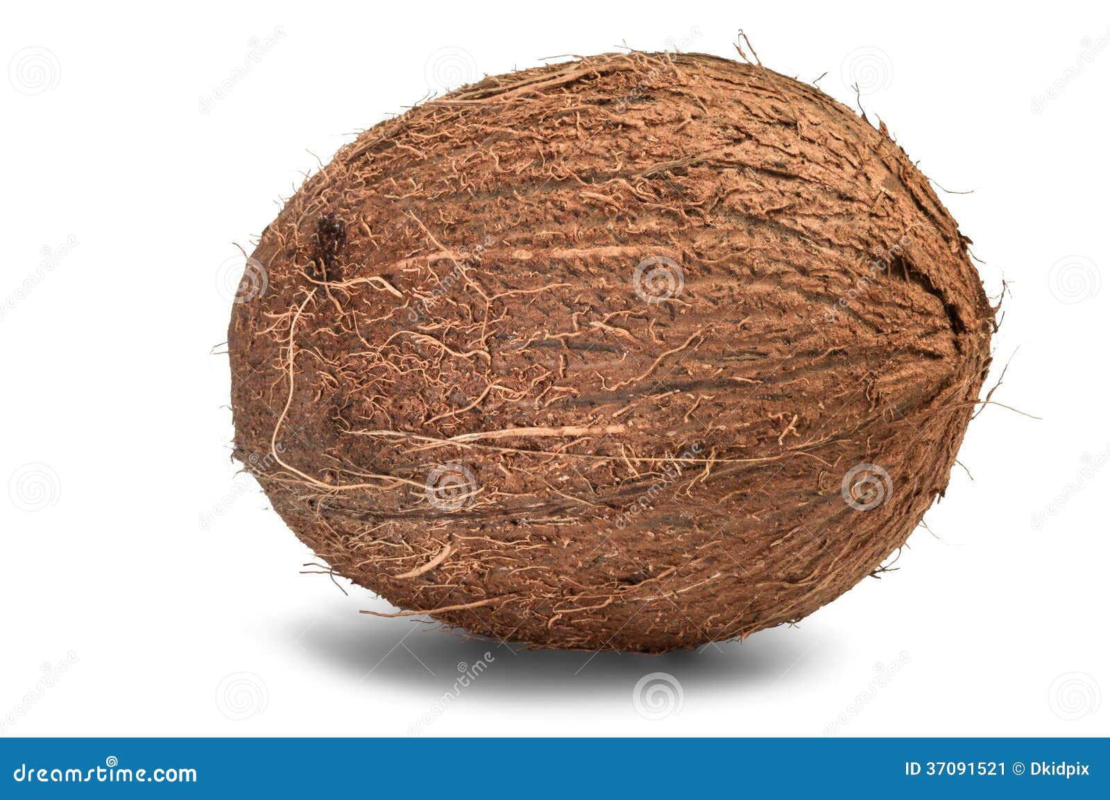 Coco imagem de stock. Imagem de alimento, meio, corte - 37091521