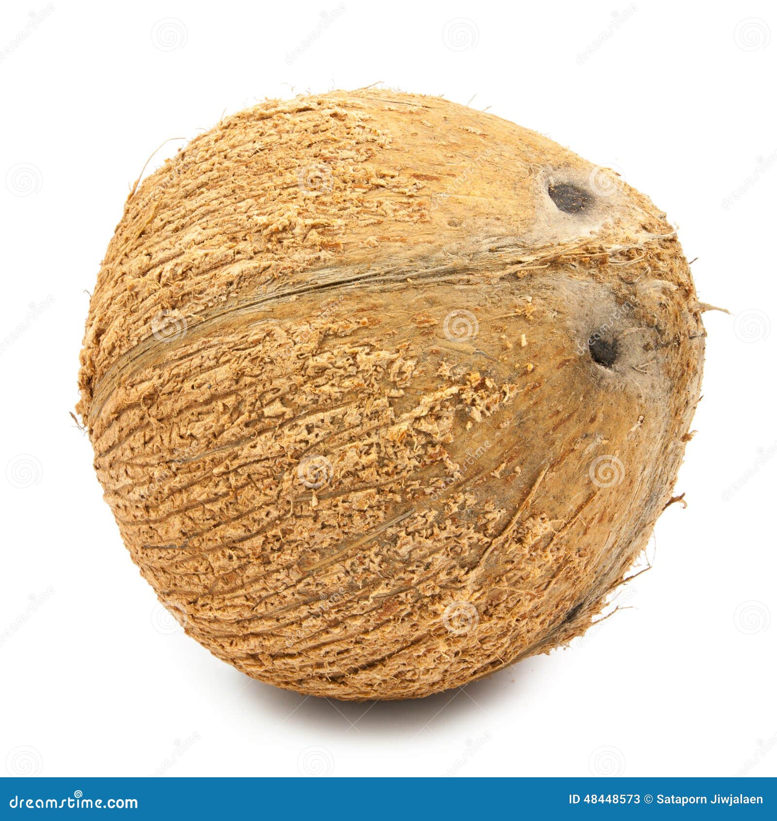 Coco imagem de stock. Imagem de coco, duro, alimento - 48448573