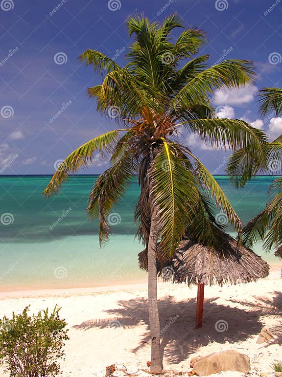 Coco Beach stock image. Image of caribbean, sand, sunny - 198251