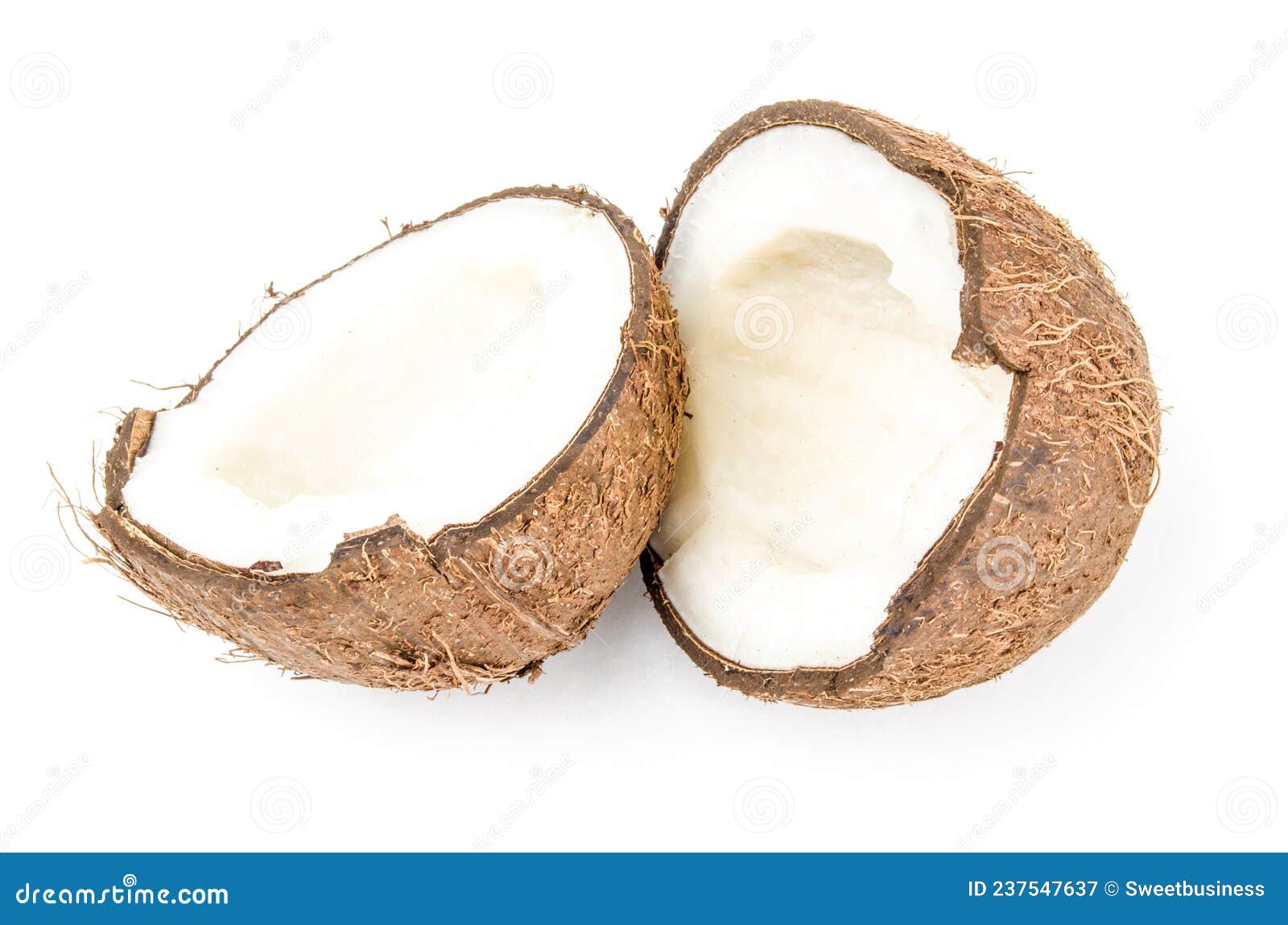 Coco cerrado en blanco imagen de archivo. Imagen de fondo - 237547637