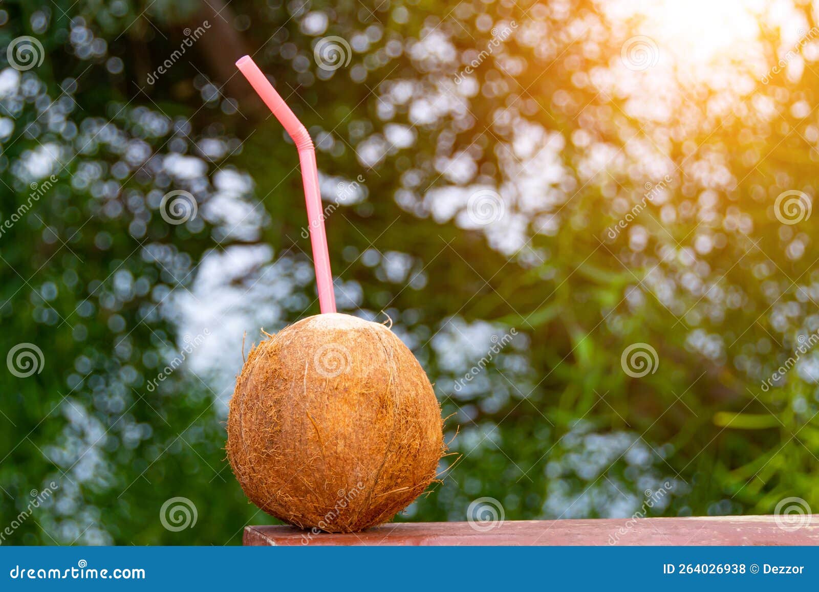 Coco Com Palha Para Beber Leite De Coco No Fundo Da Selva Foto de Stock ...