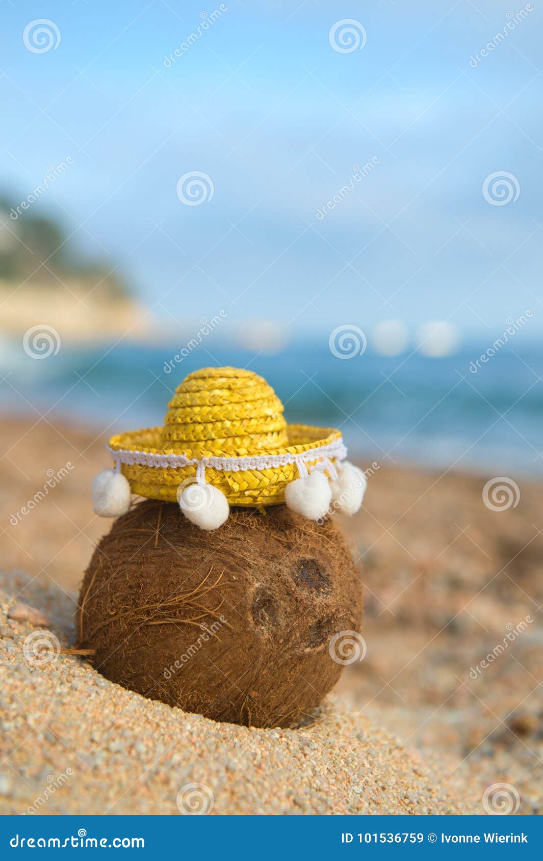 Coco Con El Sombrero En La Playa Imagen de archivo - Imagen de ...