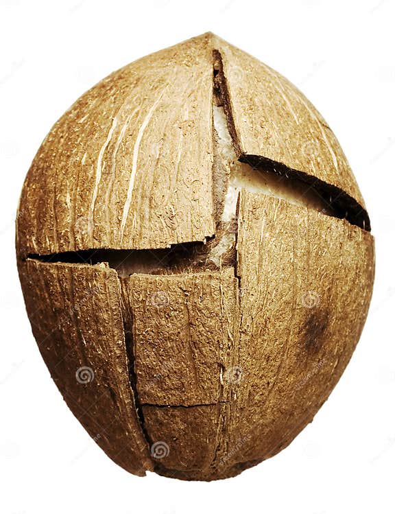 Coco with crack stock image. Image of healthcare, cocos - 5056179