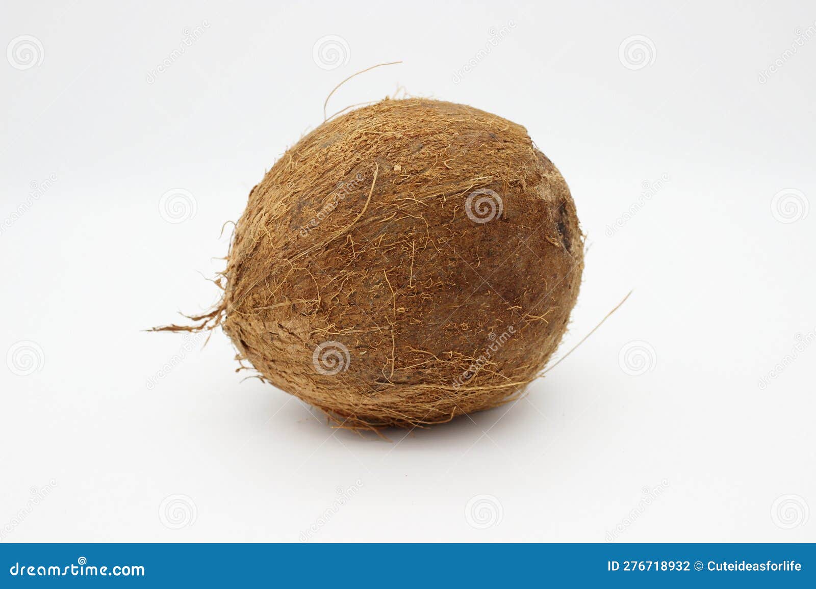 Coco de fondo blanco foto de archivo. Imagen de abierto - 276718932