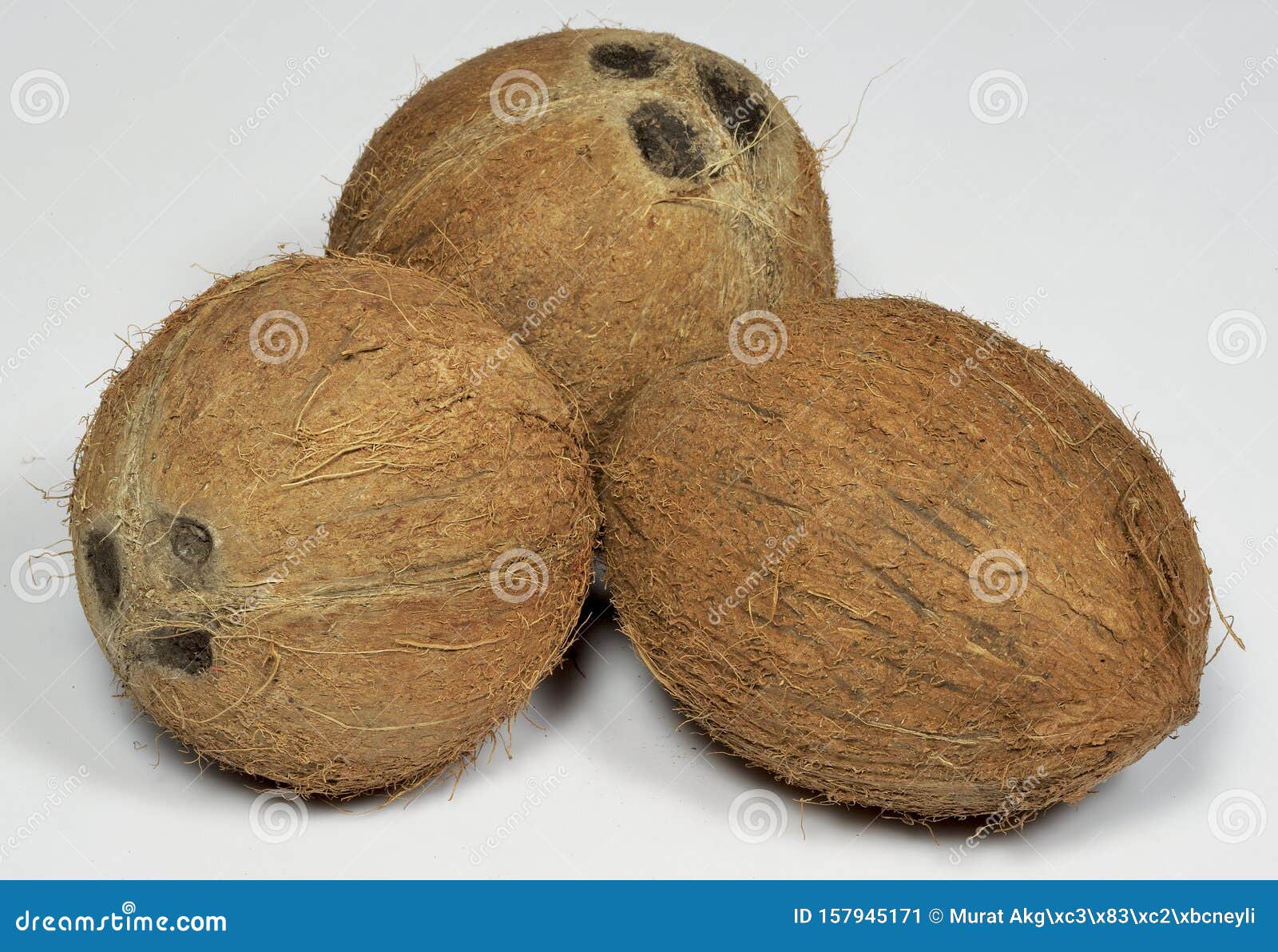 Coco De Frutas Tropicales Aislado En Blanco Imagen de archivo - Imagen ...