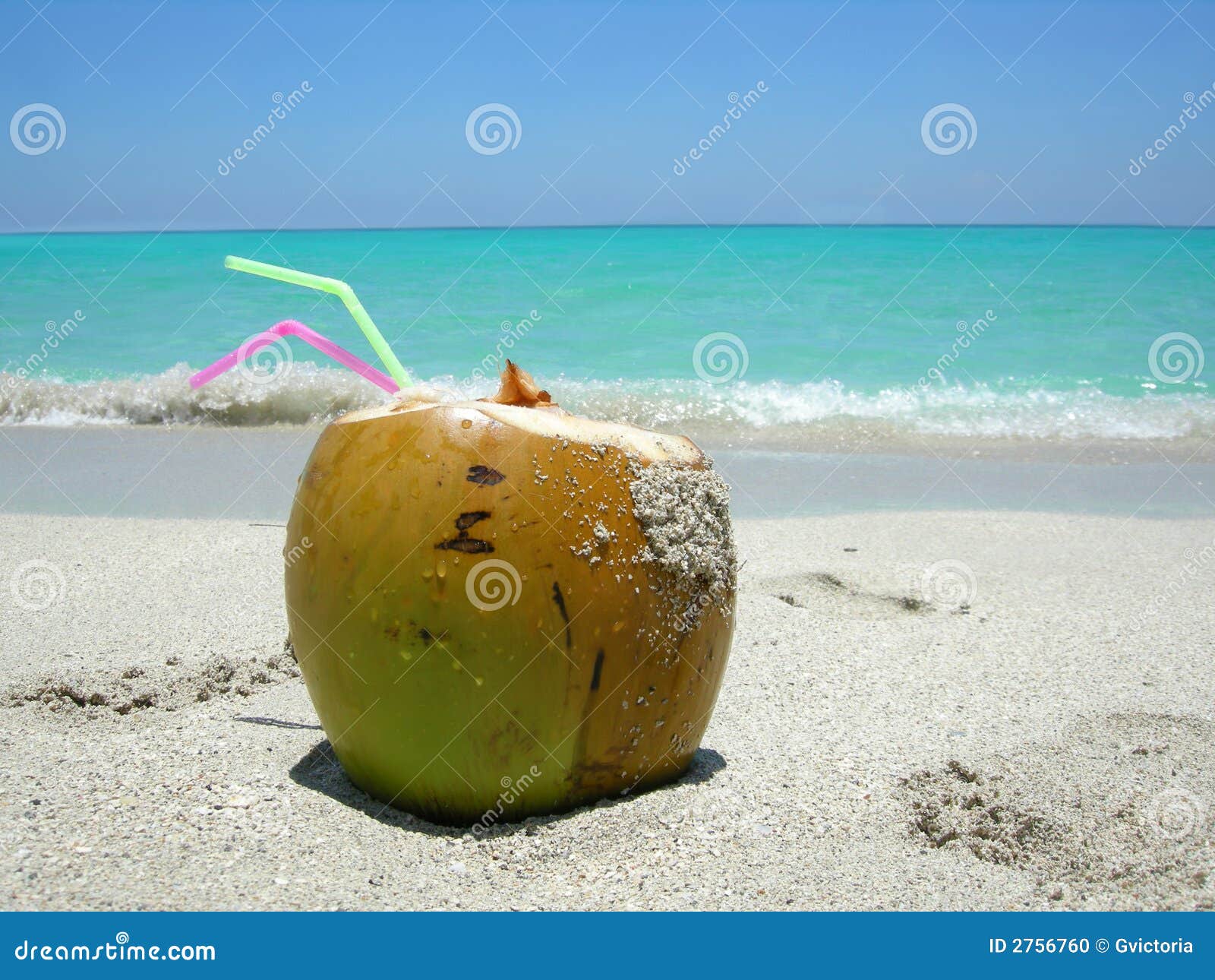 Coco Del Caribe De La Playa Foto de archivo - Imagen de relajante ...