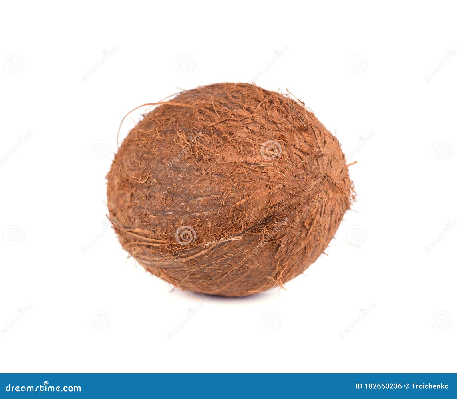 Coco Do Fruto Tropical Coco Isolado No Fundo Branco Foto de Stock ...