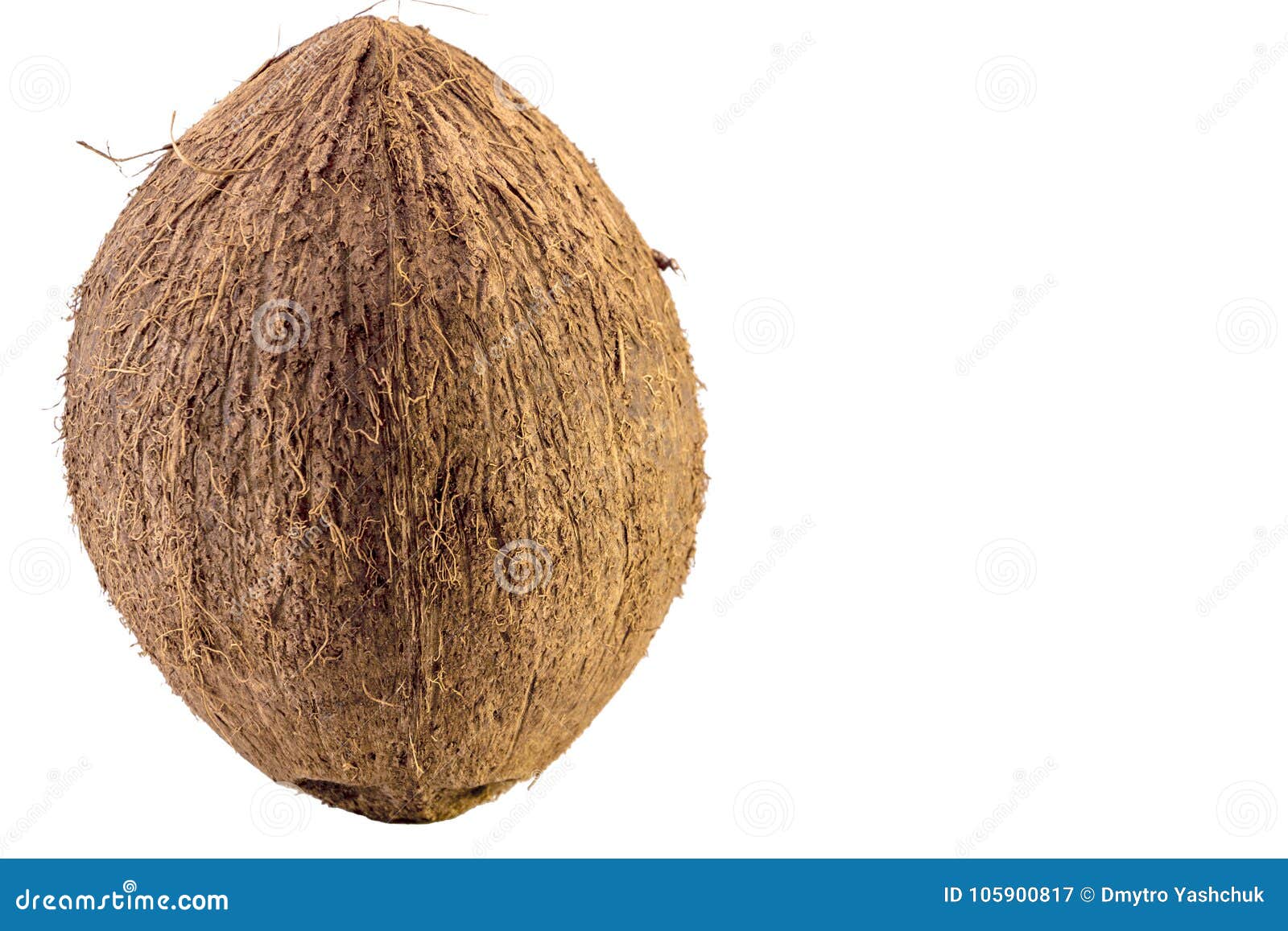 Coco Do Fruto Tropical Isolado No Fundo Branco Imagem de Stock - Imagem ...