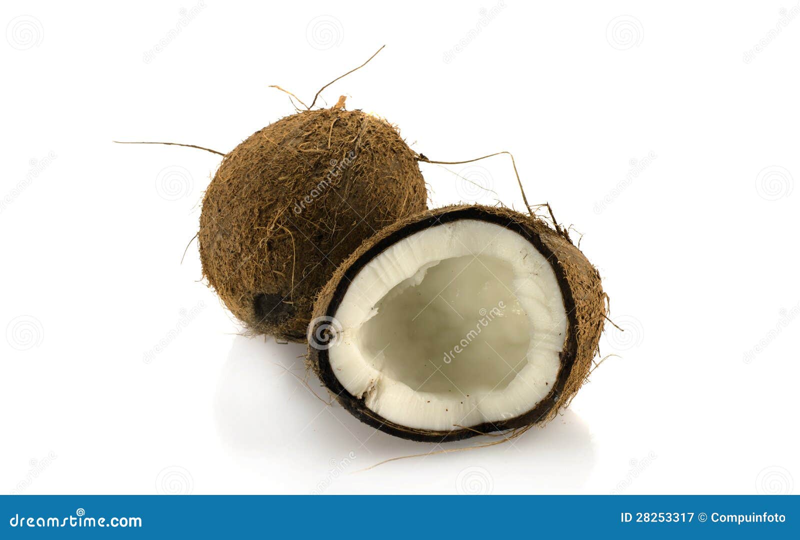 Coco dos imagen de archivo. Imagen de cortina, duro, melenudo - 28253317