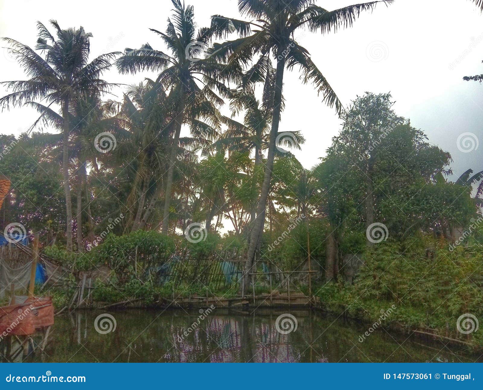 Coco e lago imagem de stock. Imagem de nuvem, brilho - 147573061