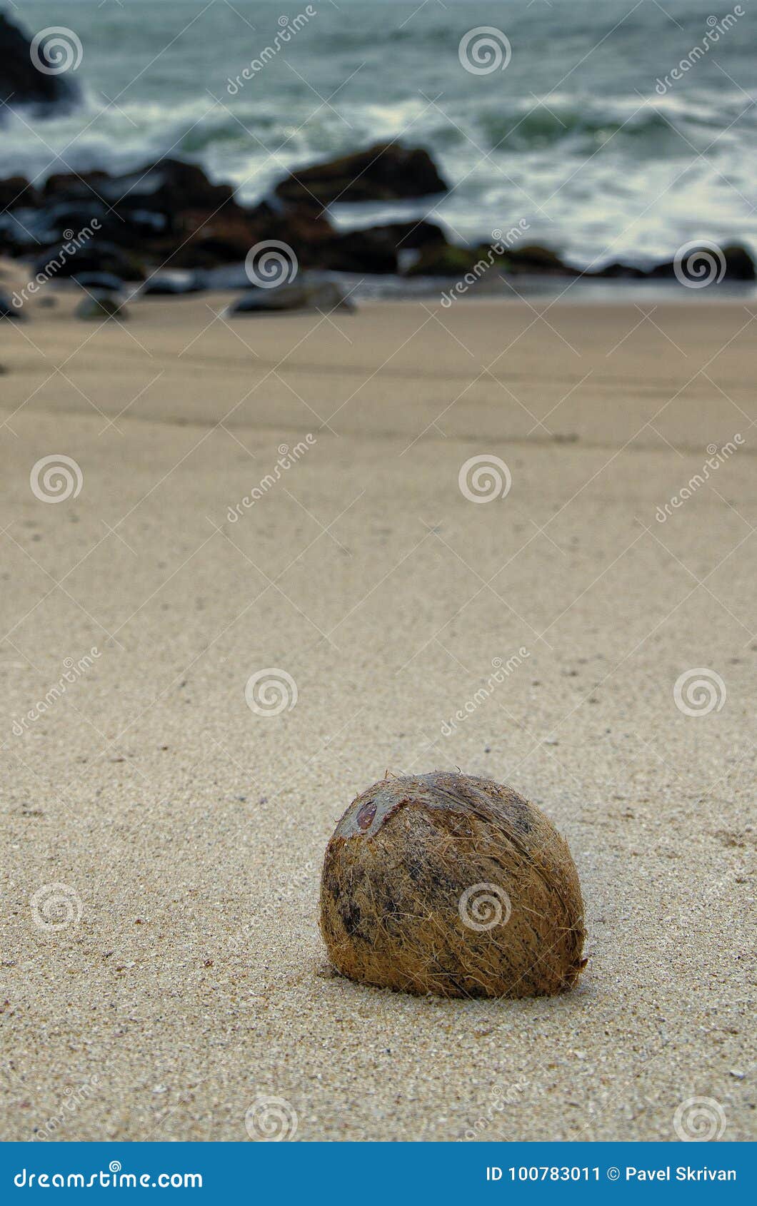 Coco en la playa imagen de archivo. Imagen de tropical - 100783011