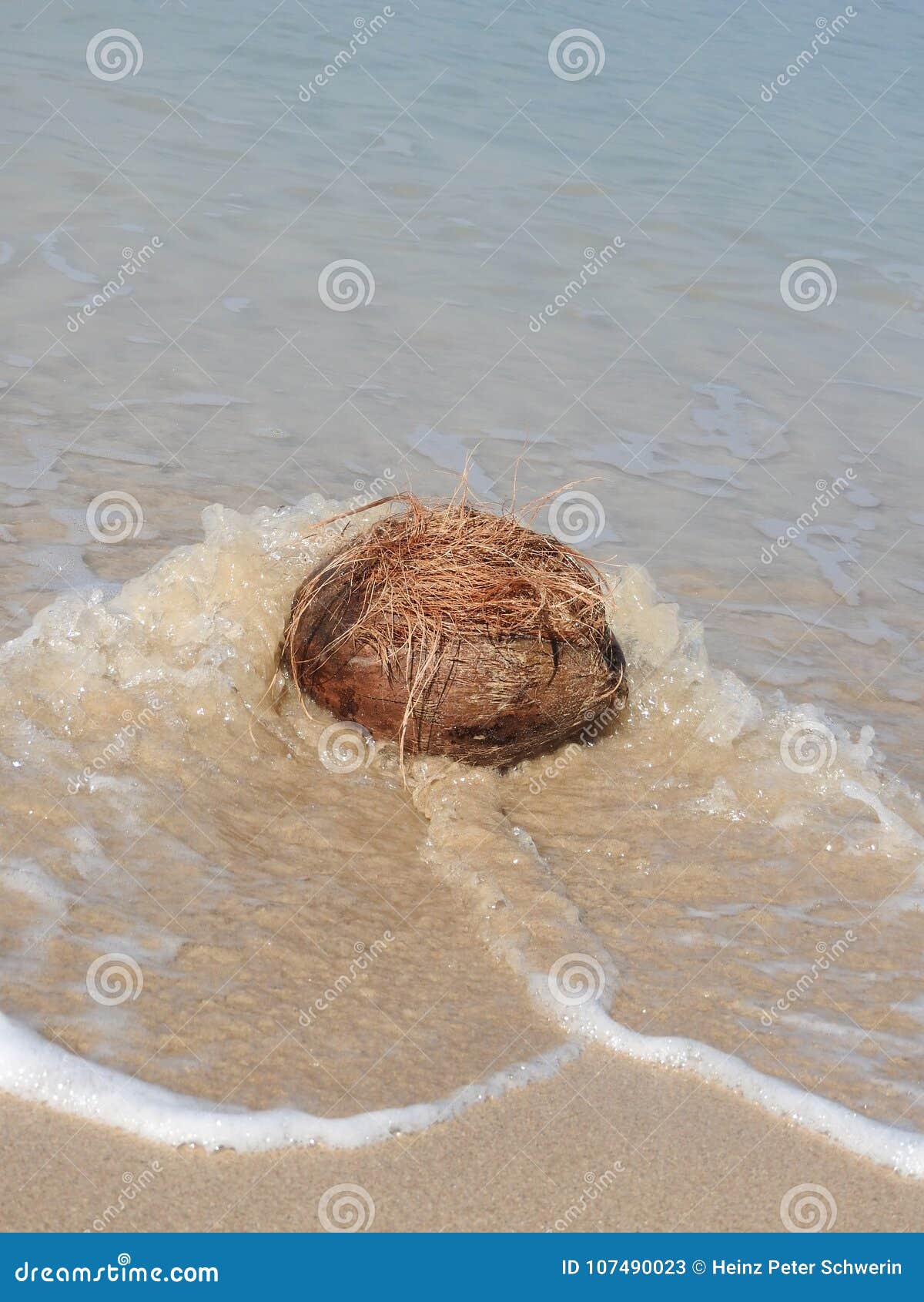Coco en la playa imagen de archivo. Imagen de océano - 107490023