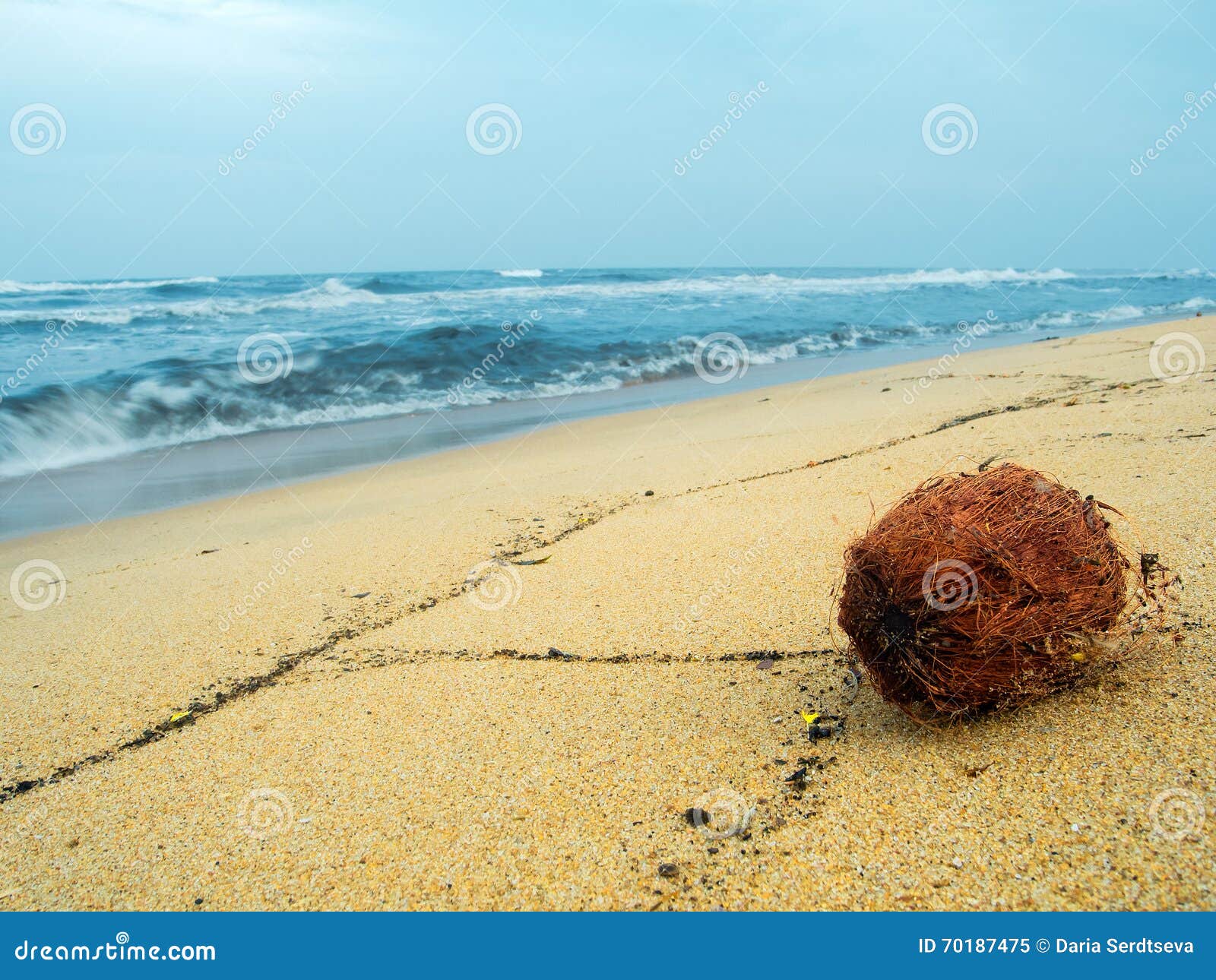 Coco en la playa imagen de archivo. Imagen de coco, horizonte - 70187475
