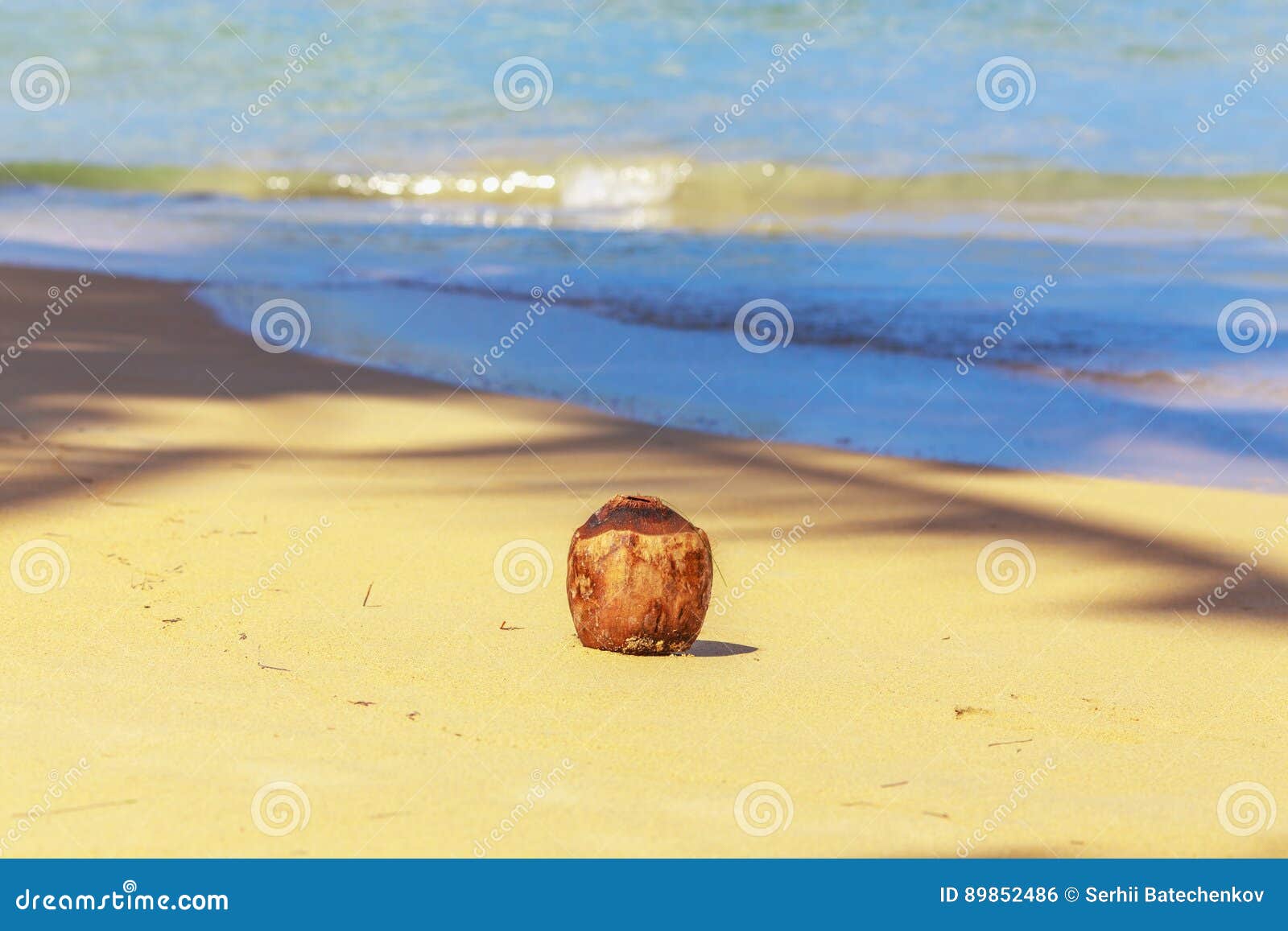 Coco en la playa foto de archivo. Imagen de fruta, salud - 89852486