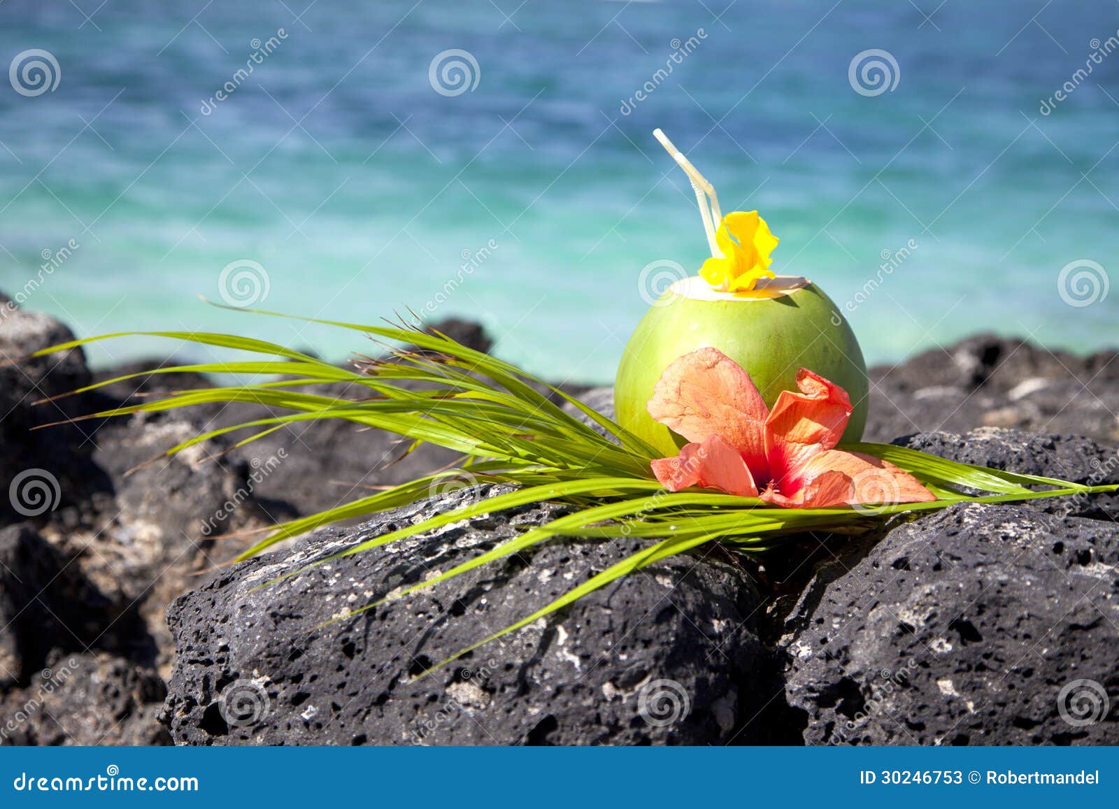 Coco imagen de archivo. Imagen de destinaciones, ocio - 30246753