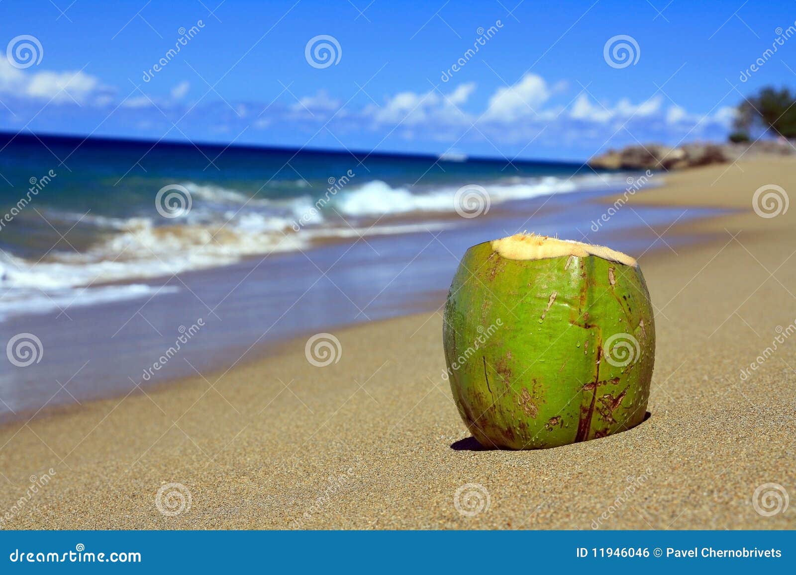 Coco En La Playa Del Océano Foto de archivo - Imagen de costa, laguna ...